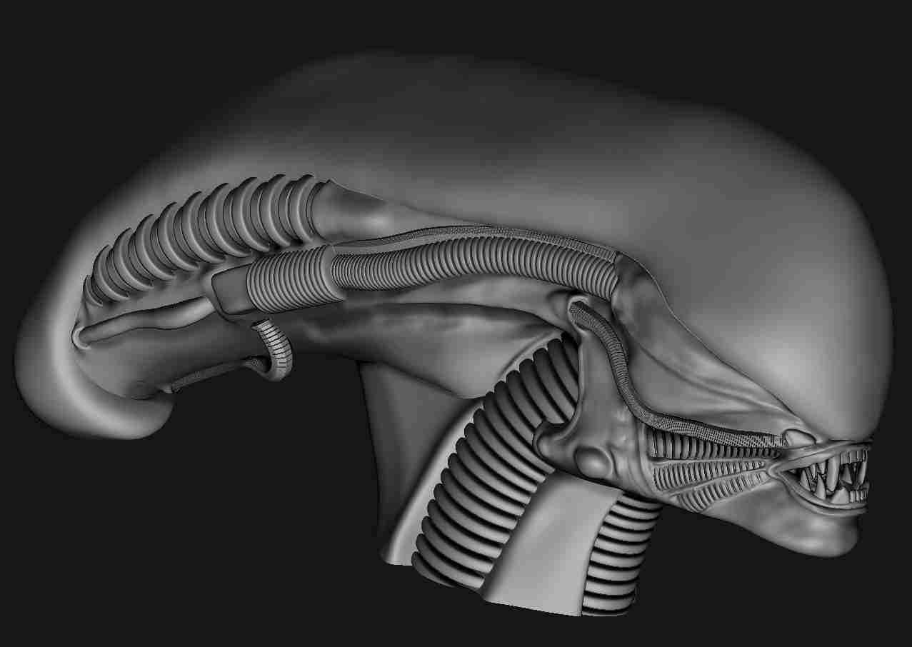 ALIEN XENOMORPH | 3D models download | Creality Cloud