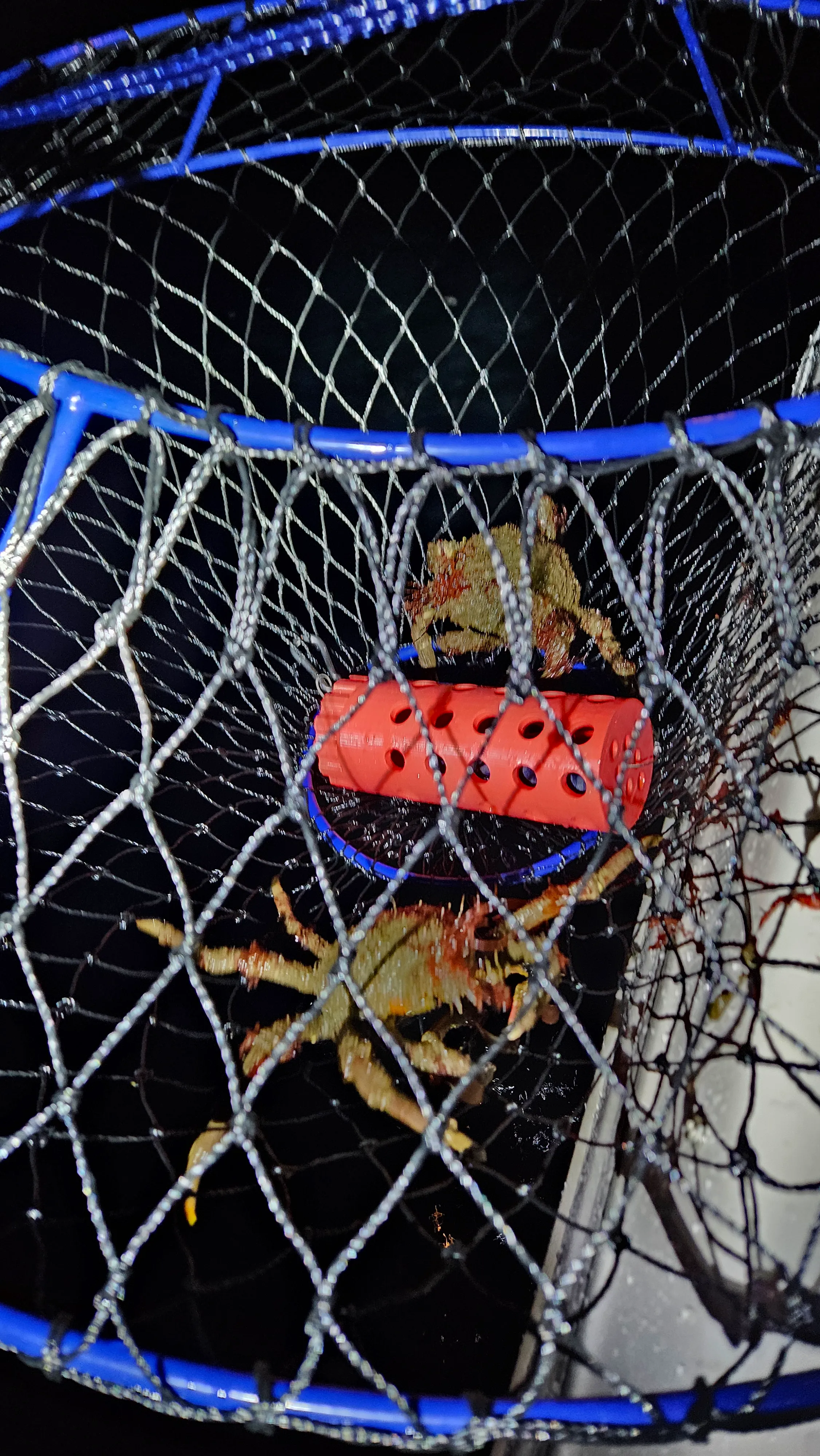 Electronics & RC (Remote Control) STL Download - Lobater/Crab bait cage ...