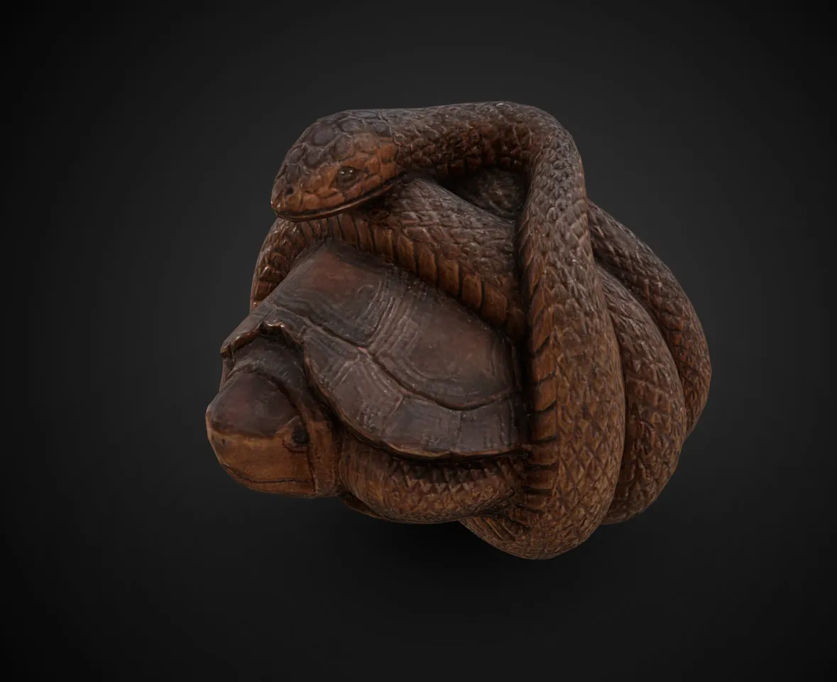 Snake curled around a turtle | 3D models download | Creality Cloud