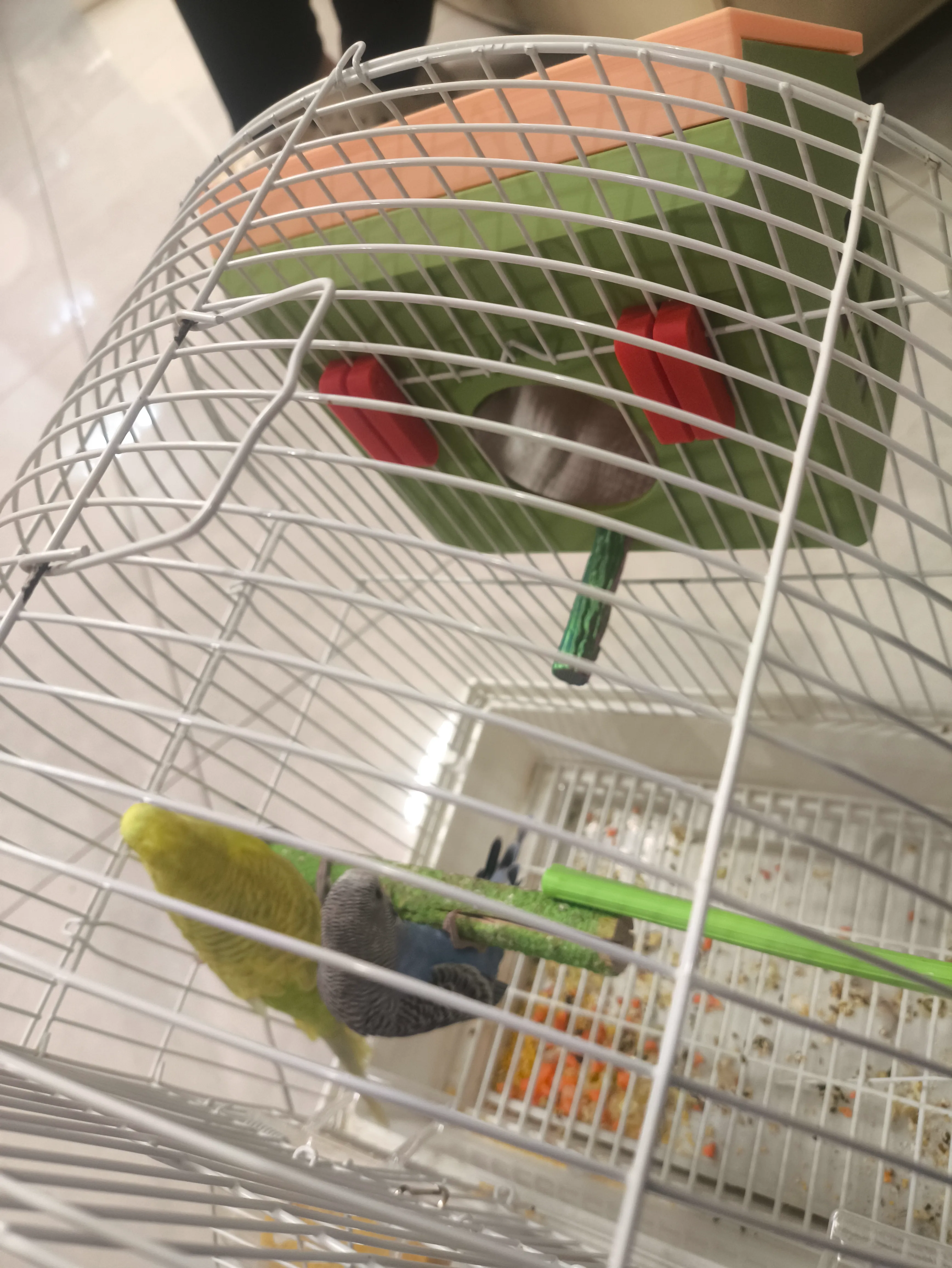 3D Printer Files | 3MF File | Side hung bird nest | Creality Cloud