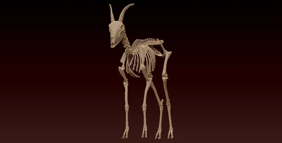 Characters & Creatures STL ダウンロード - Goat bones - statue - 3D print ...