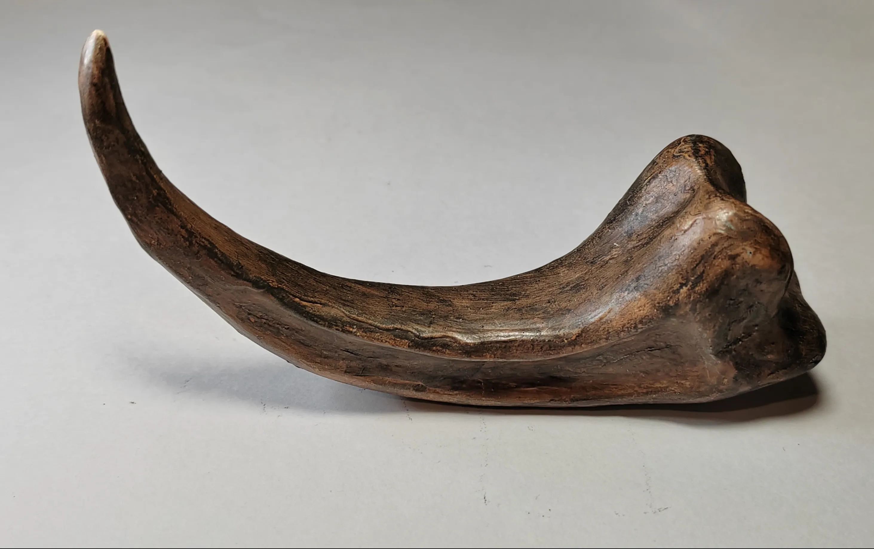 3D Printer Files | 3MF File | Raptor Claw | Creality Cloud