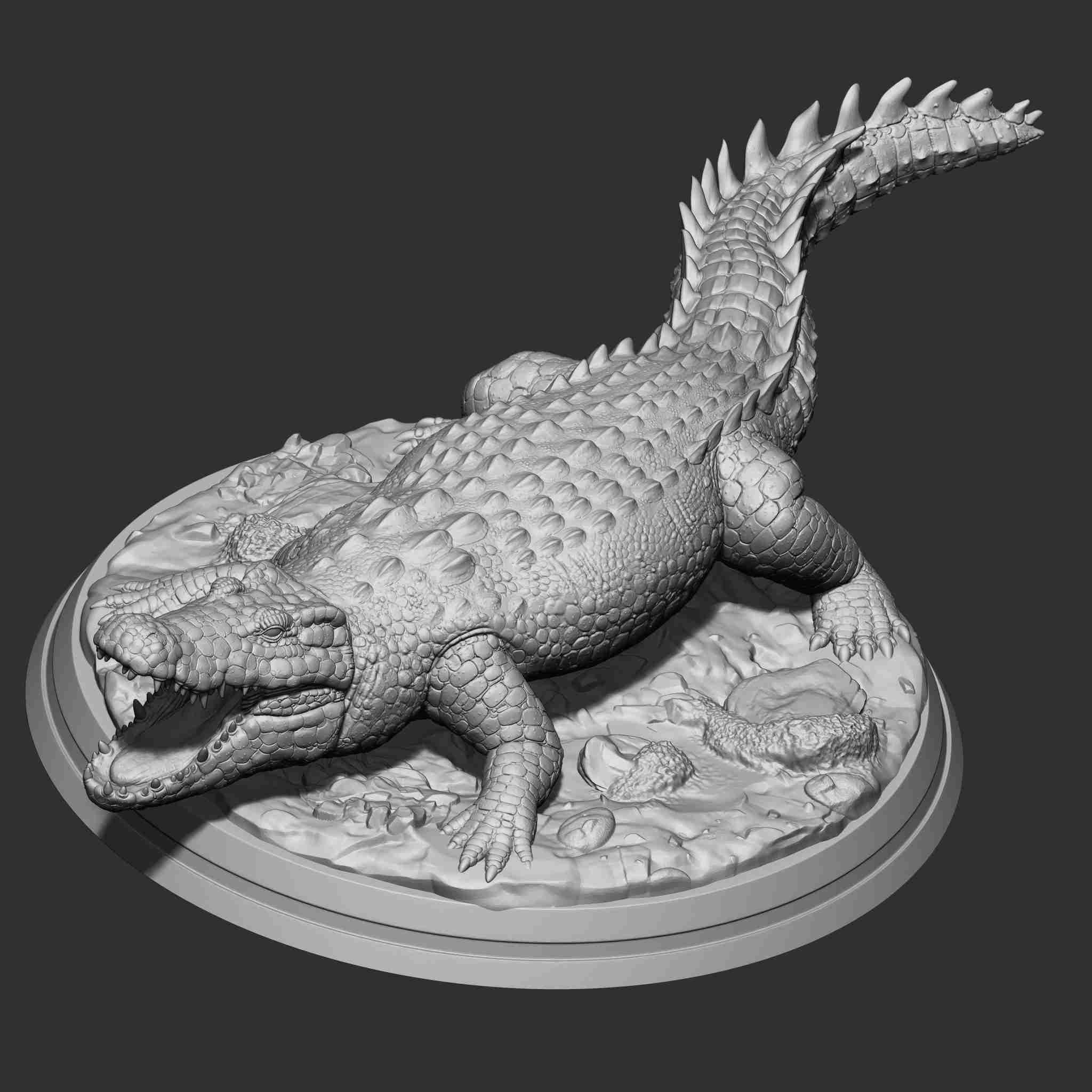 CROCODILE | 3D models download | Creality Cloud
