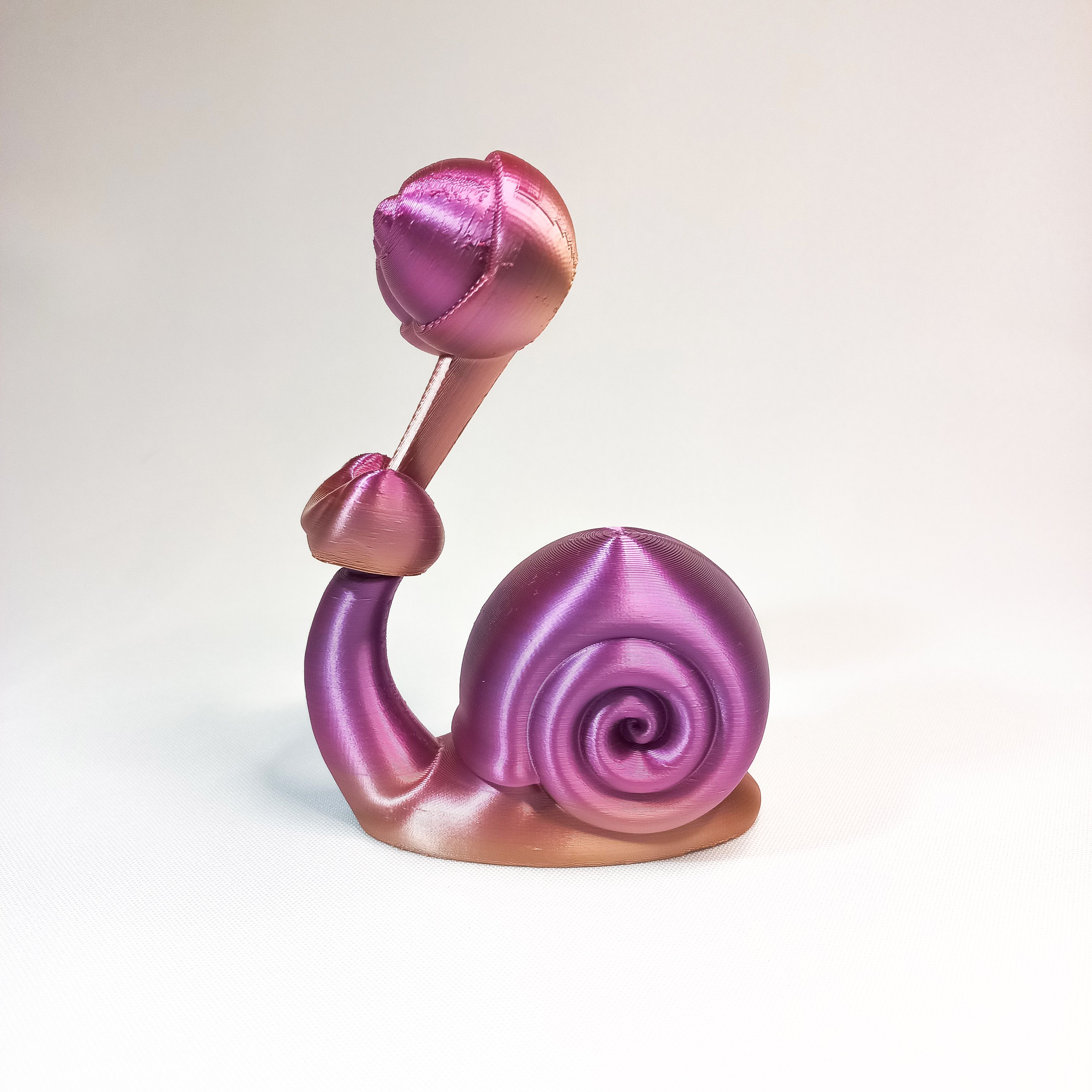 SNAIL | 3D models download | Creality Cloud