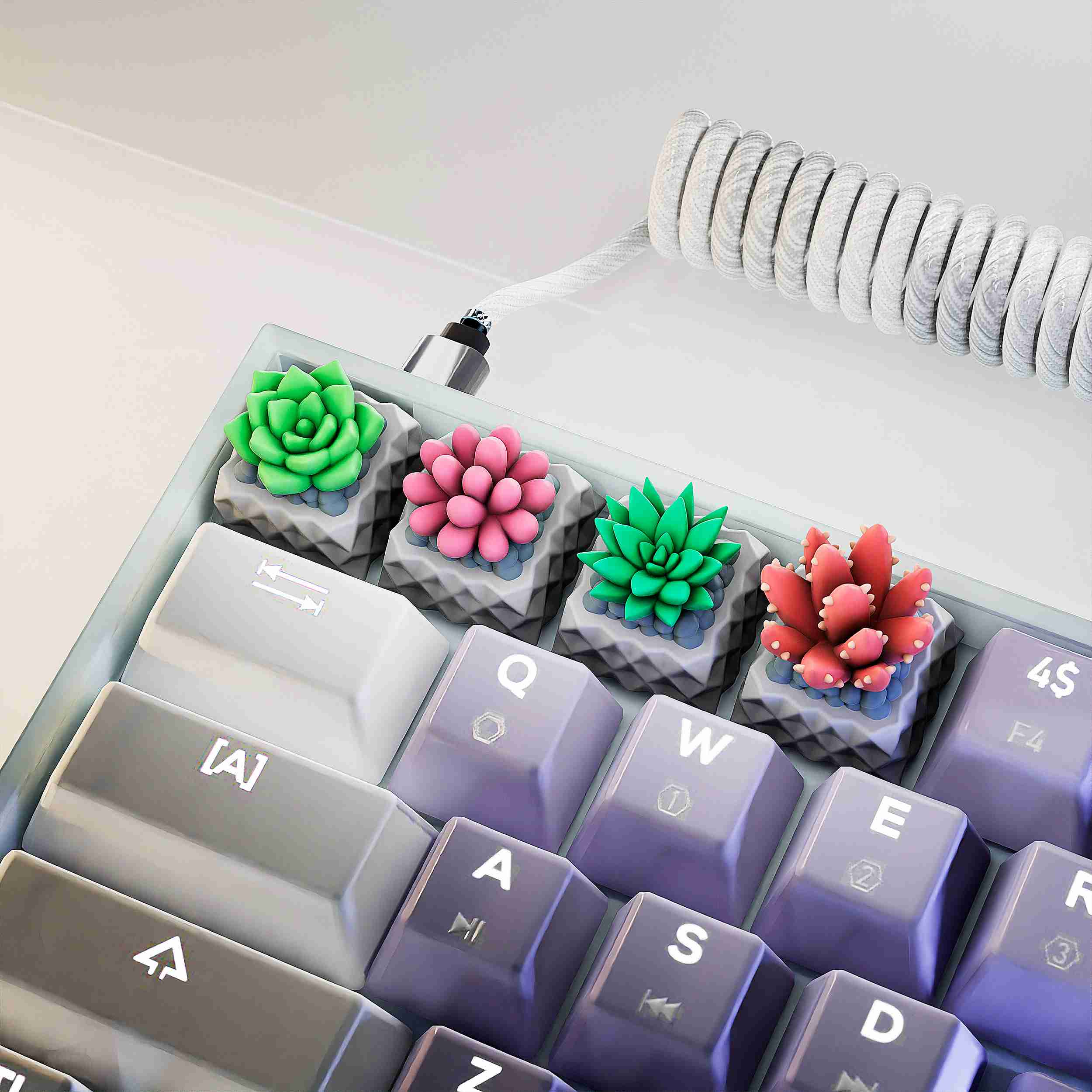 Succulents Plants Keycaps - Mechanical Keyboard | 3D models download ...