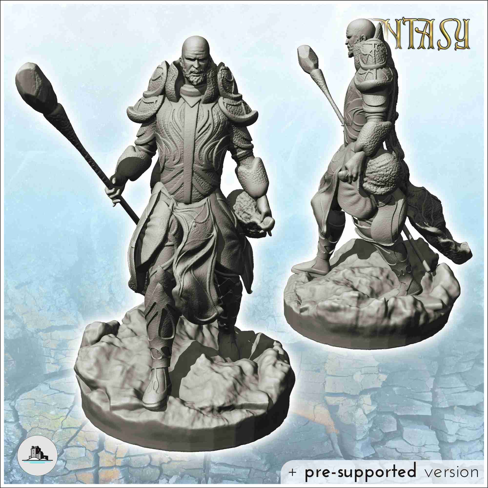 Wizard in full armor with specter in hand (1) - miniatures f | 3D ...