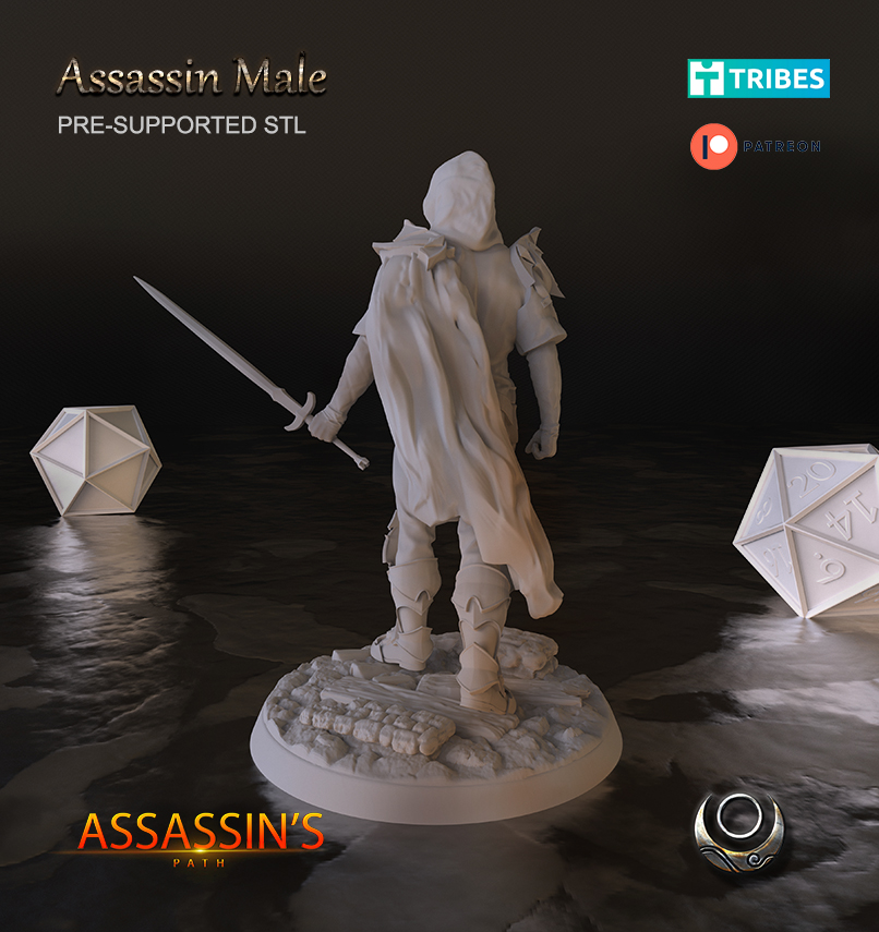 Assassin Male | 3D models download | Creality Cloud