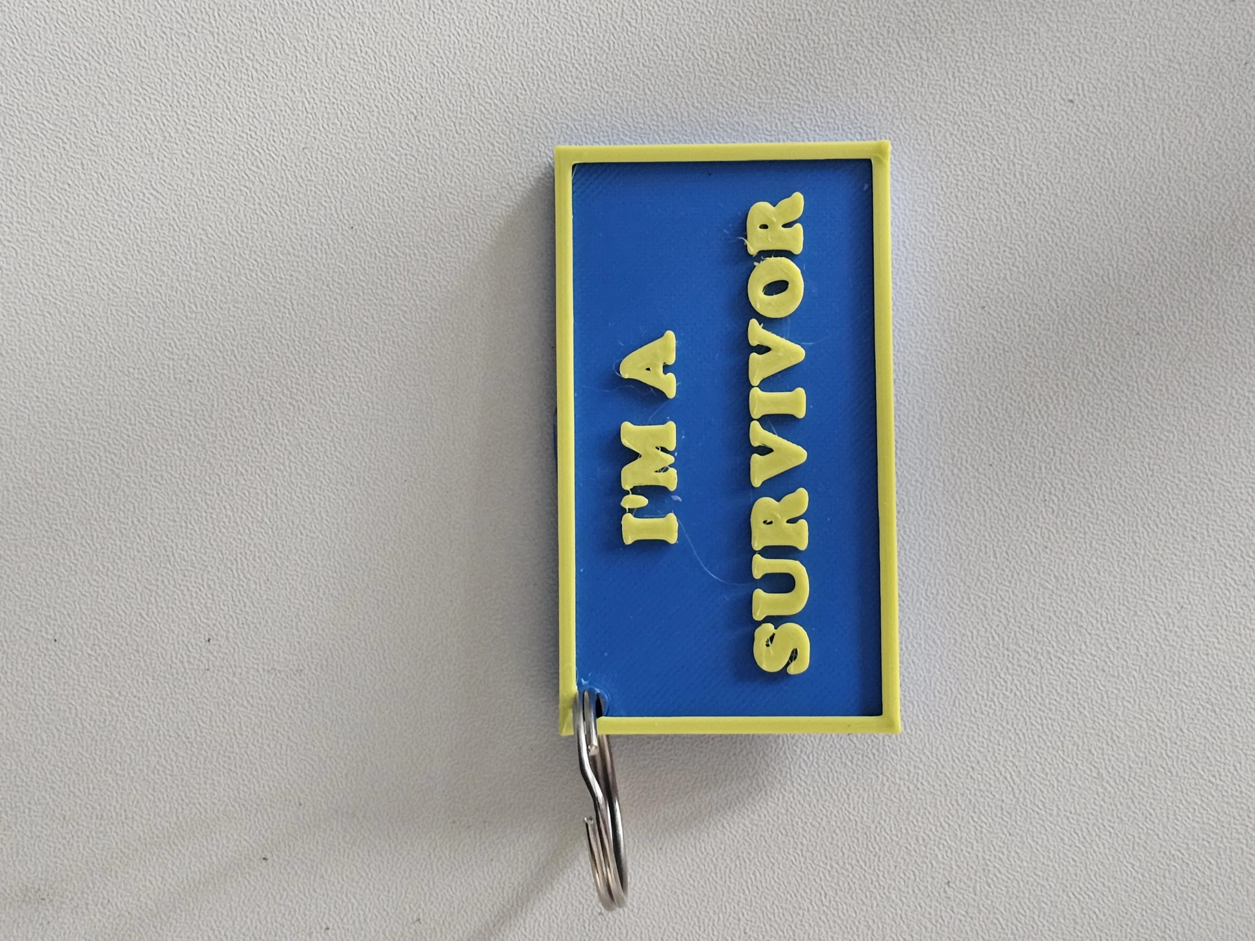 Badges & Coins STL Download - IM A SURVIVORby sergio85