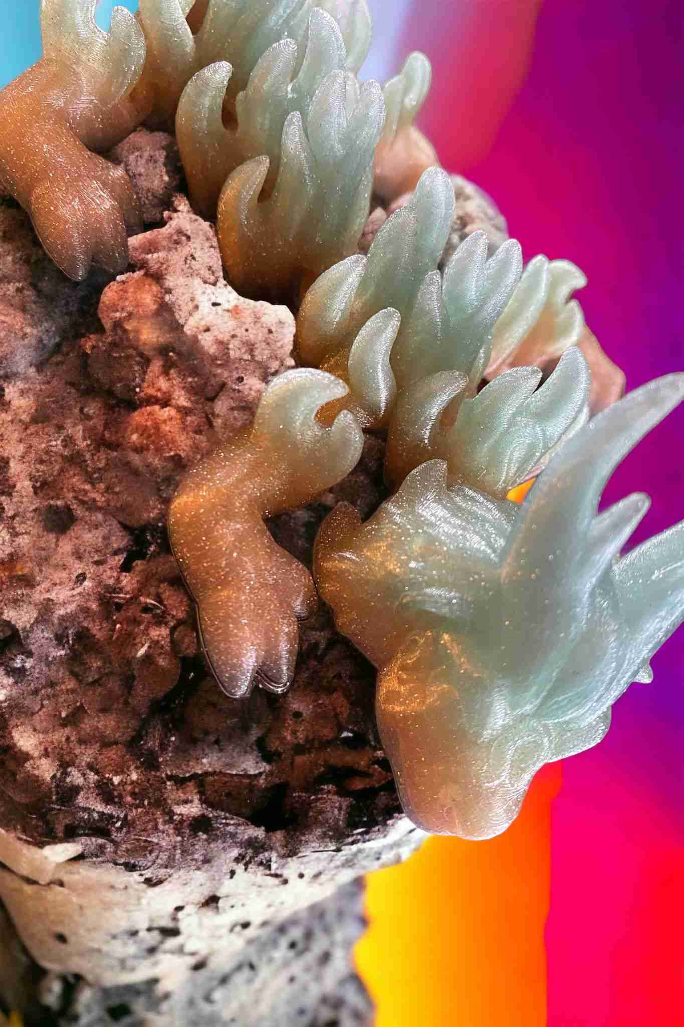 Leo The Zodiac Dragon | 3D models download | Creality Cloud