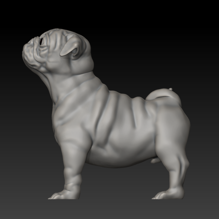 YOUNG PUG | 3D models download | Creality Cloud
