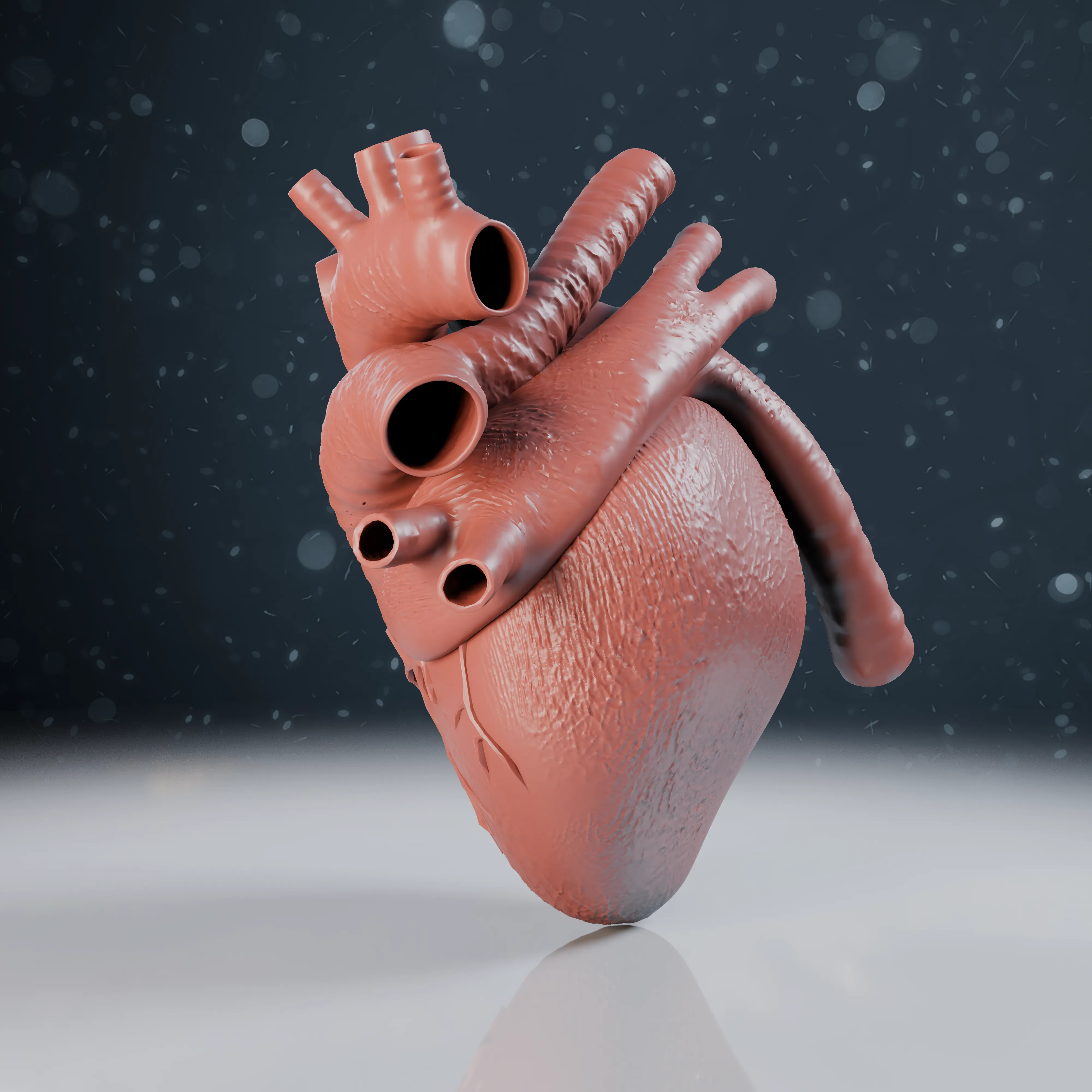 Other STL Download - Human Heart Anatomy Modelby RareBox
