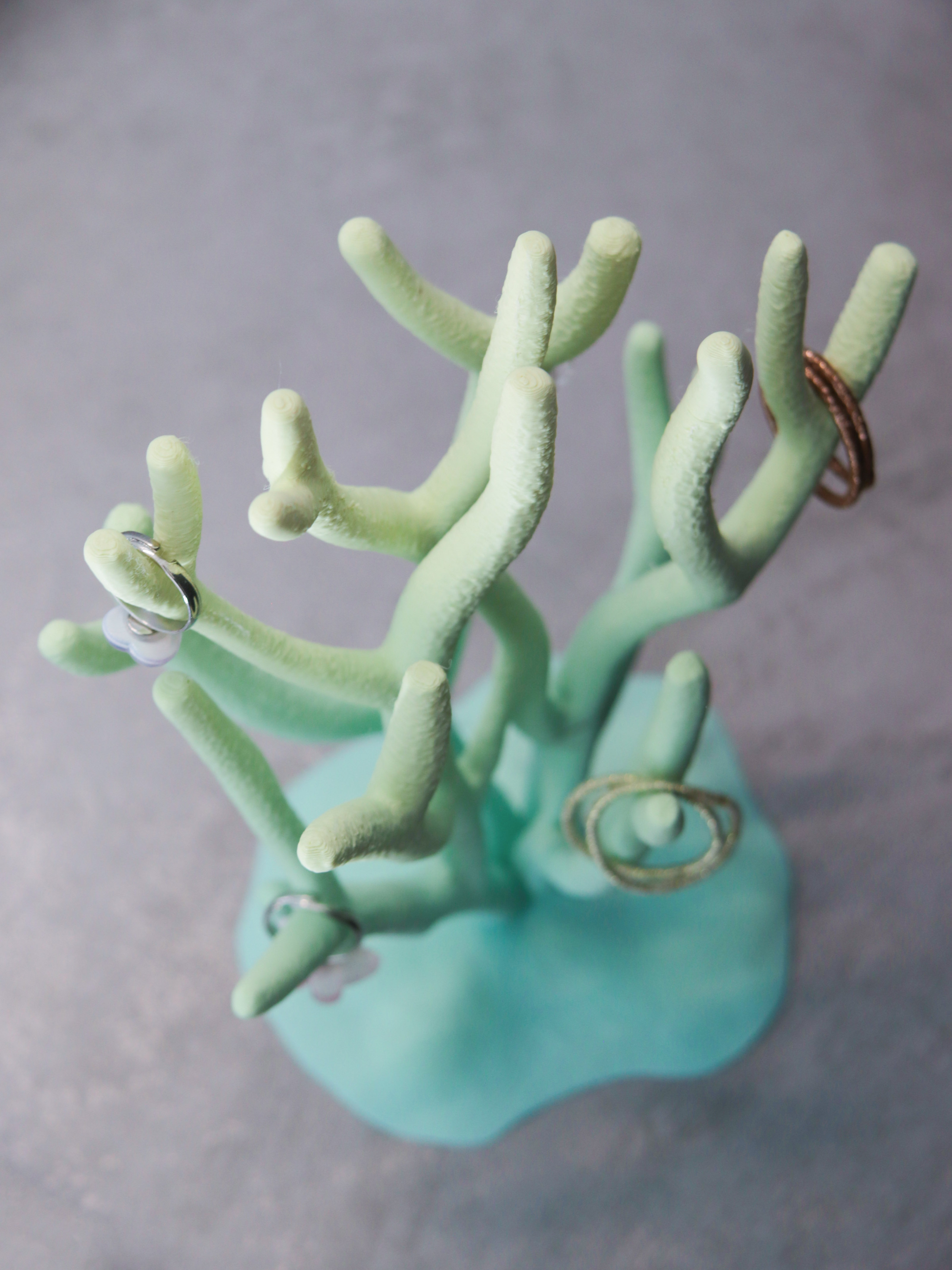 Coral Stand | 3D models download | Creality Cloud