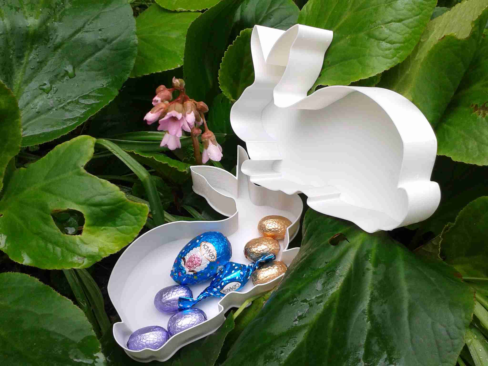 Rabbit 002A, nestable box (v2) | 3D models download | Creality Cloud