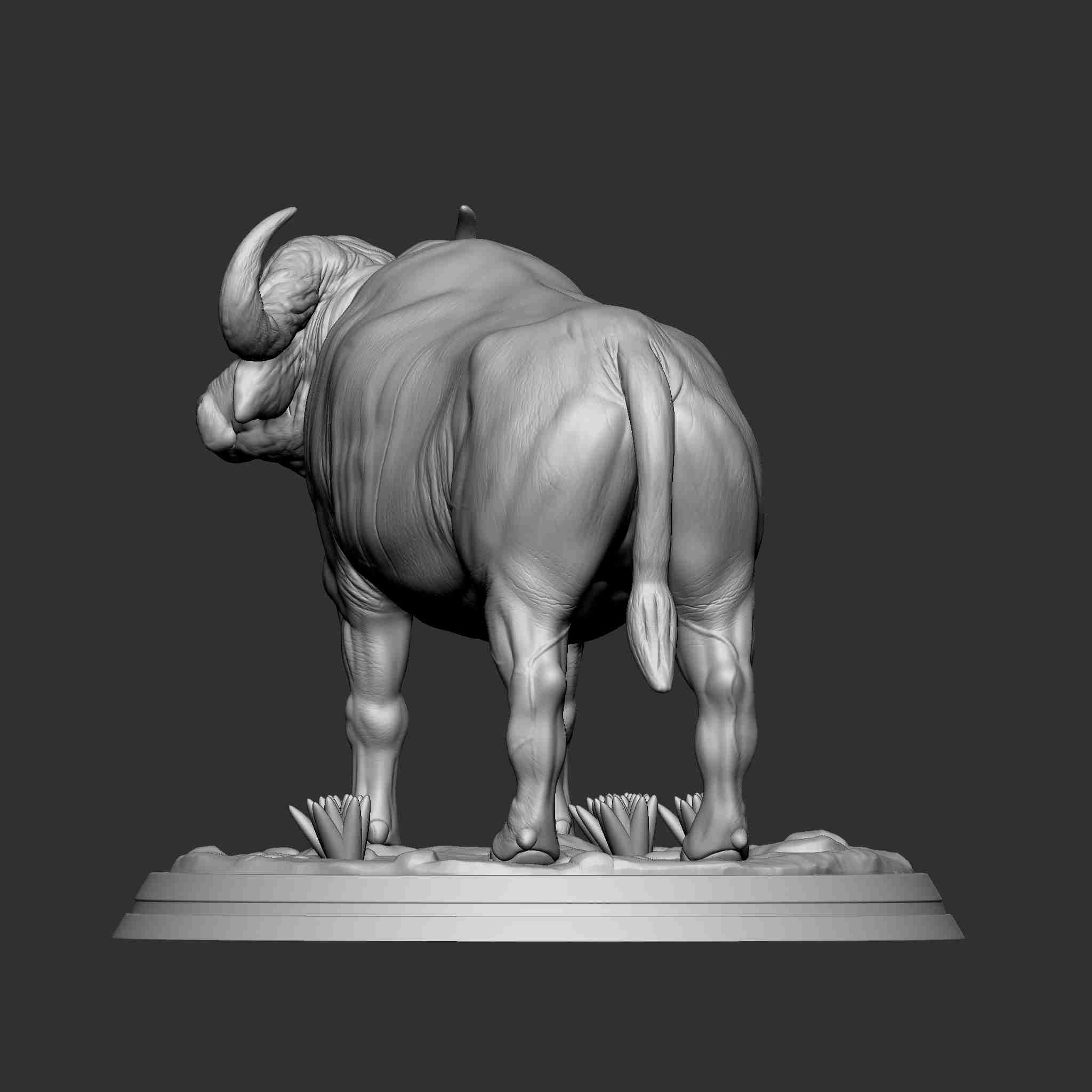 CAPE BUFFALO | 3D models download | Creality Cloud