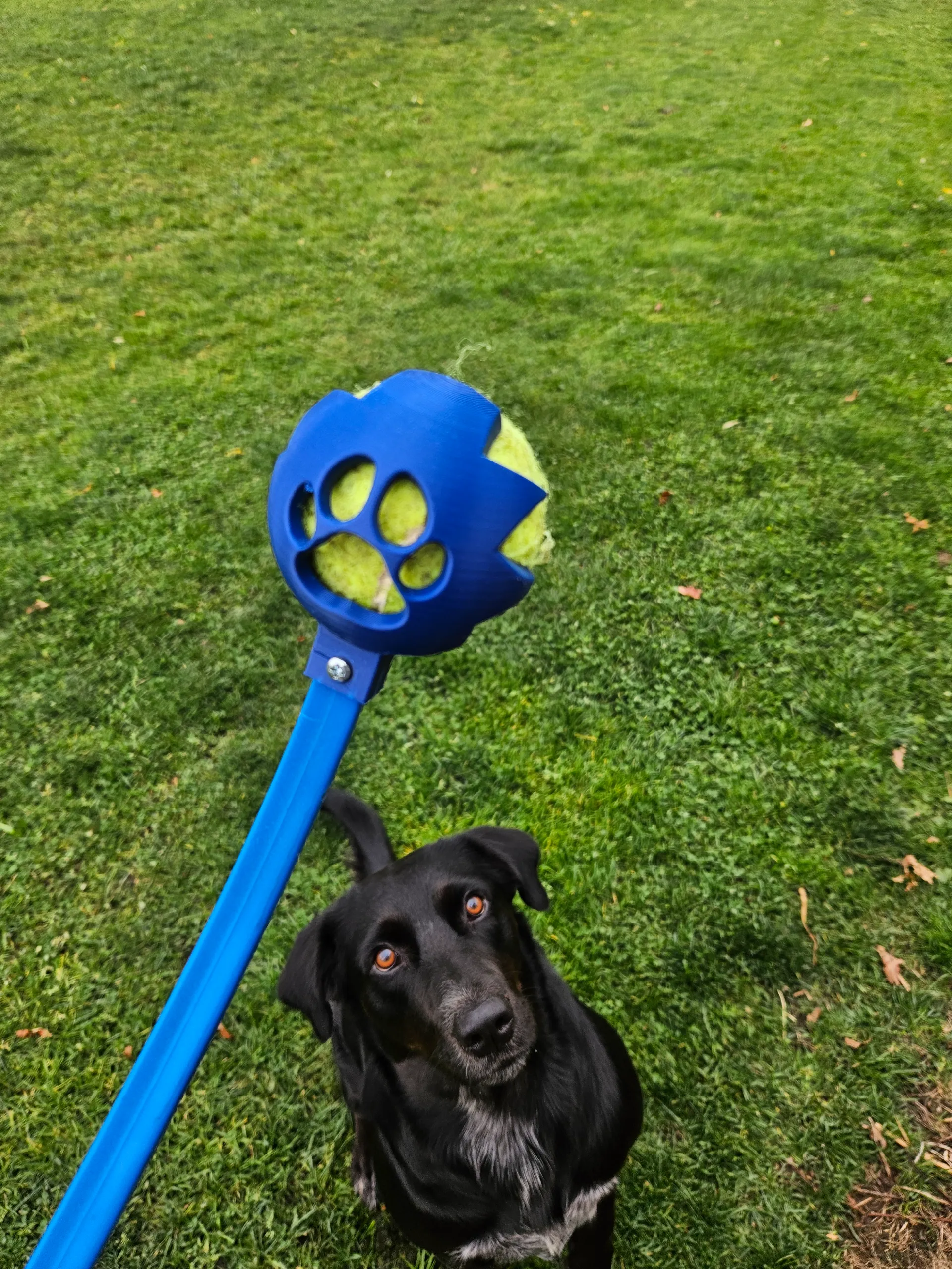 Pets STL Download - Dog ball launcher, handle and arm with replacement ...