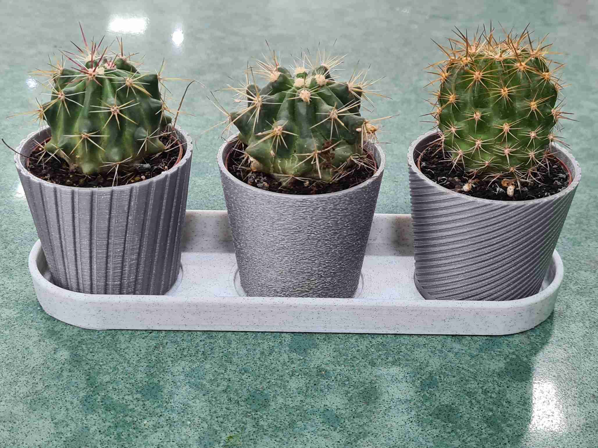 Mini Cactus 3 Planter Set With Tray | 3D models download | Creality Cloud