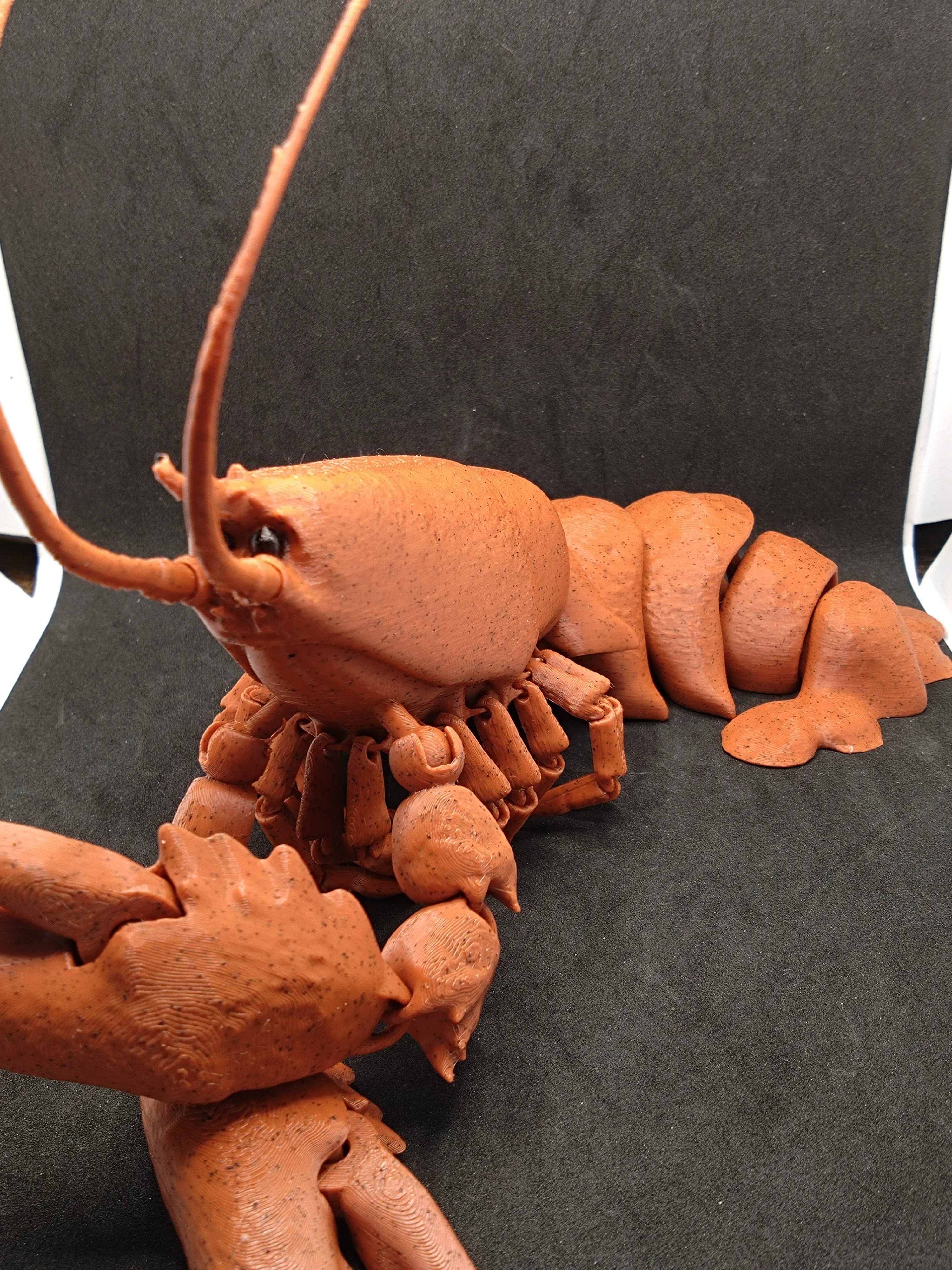 3D Printer Files | 3MF File | [EXCLUSIVE] The Lobster Toy Creation Kit ...