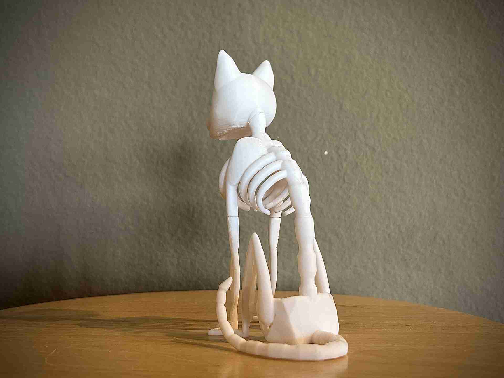 Stylized Cat Skeleton | 3D models download | Creality Cloud
