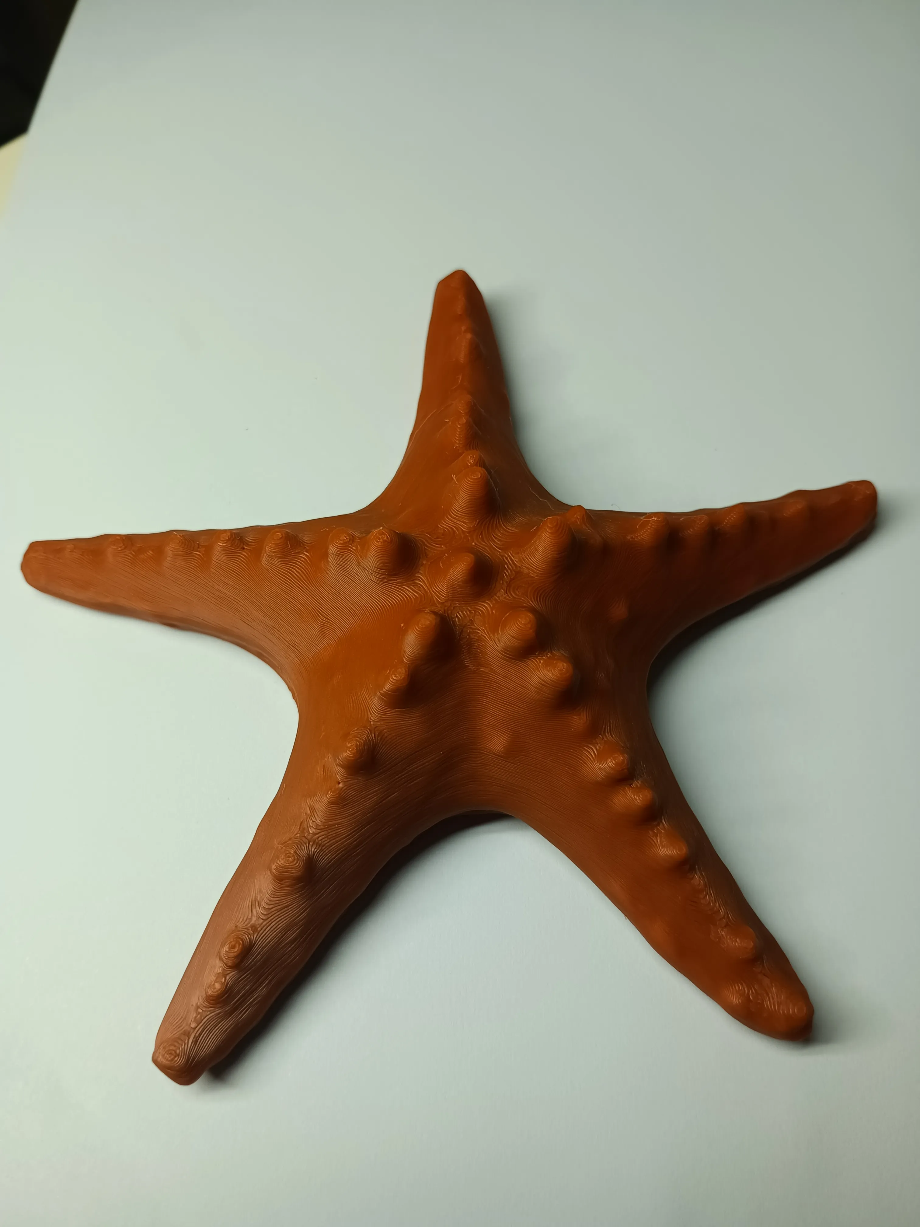 3D Printer Files | 3MF File | Eastern Sea Star | Creality Cloud
