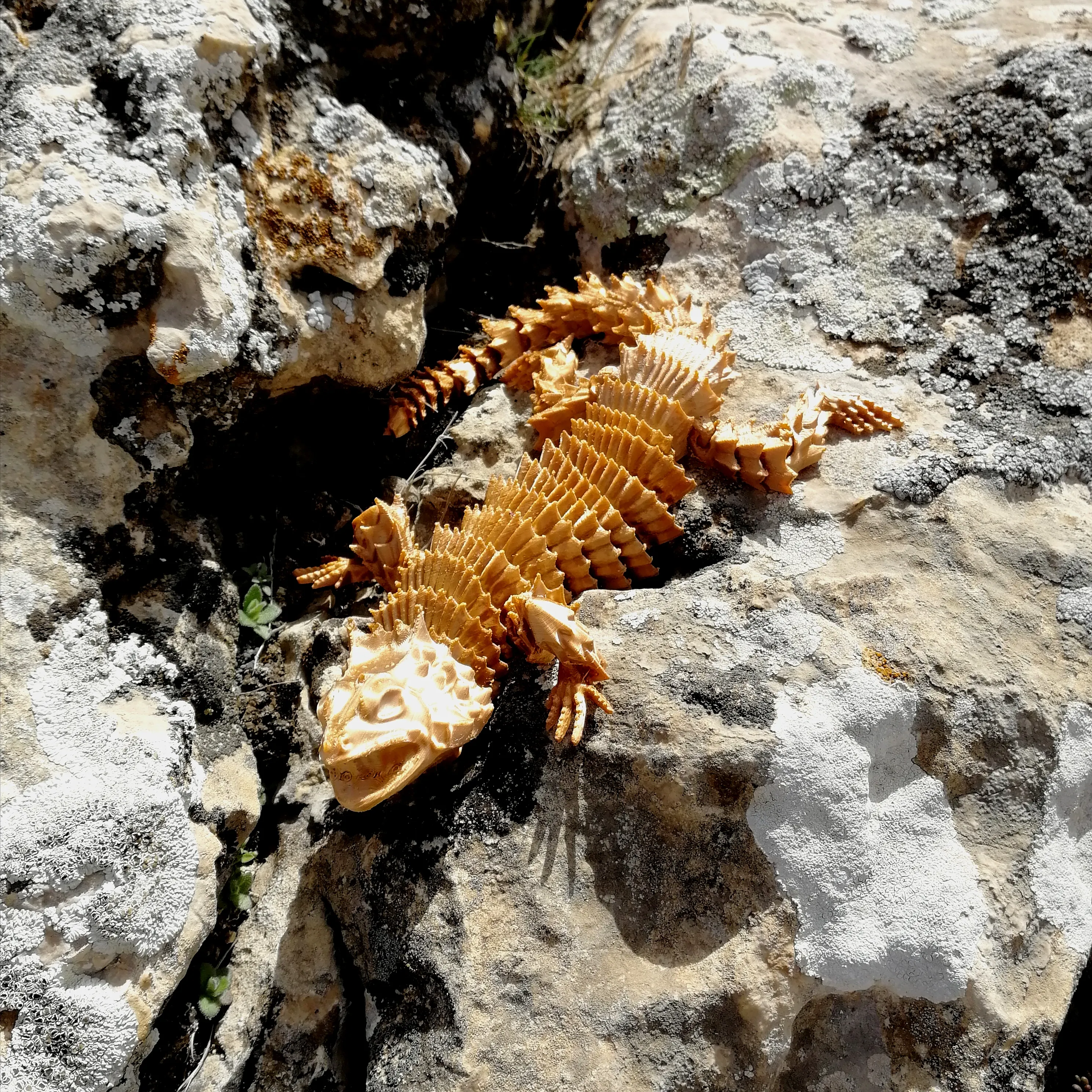 GOLDEN LIZARD (LAZY FLEXI) | 3D models download | Creality Cloud