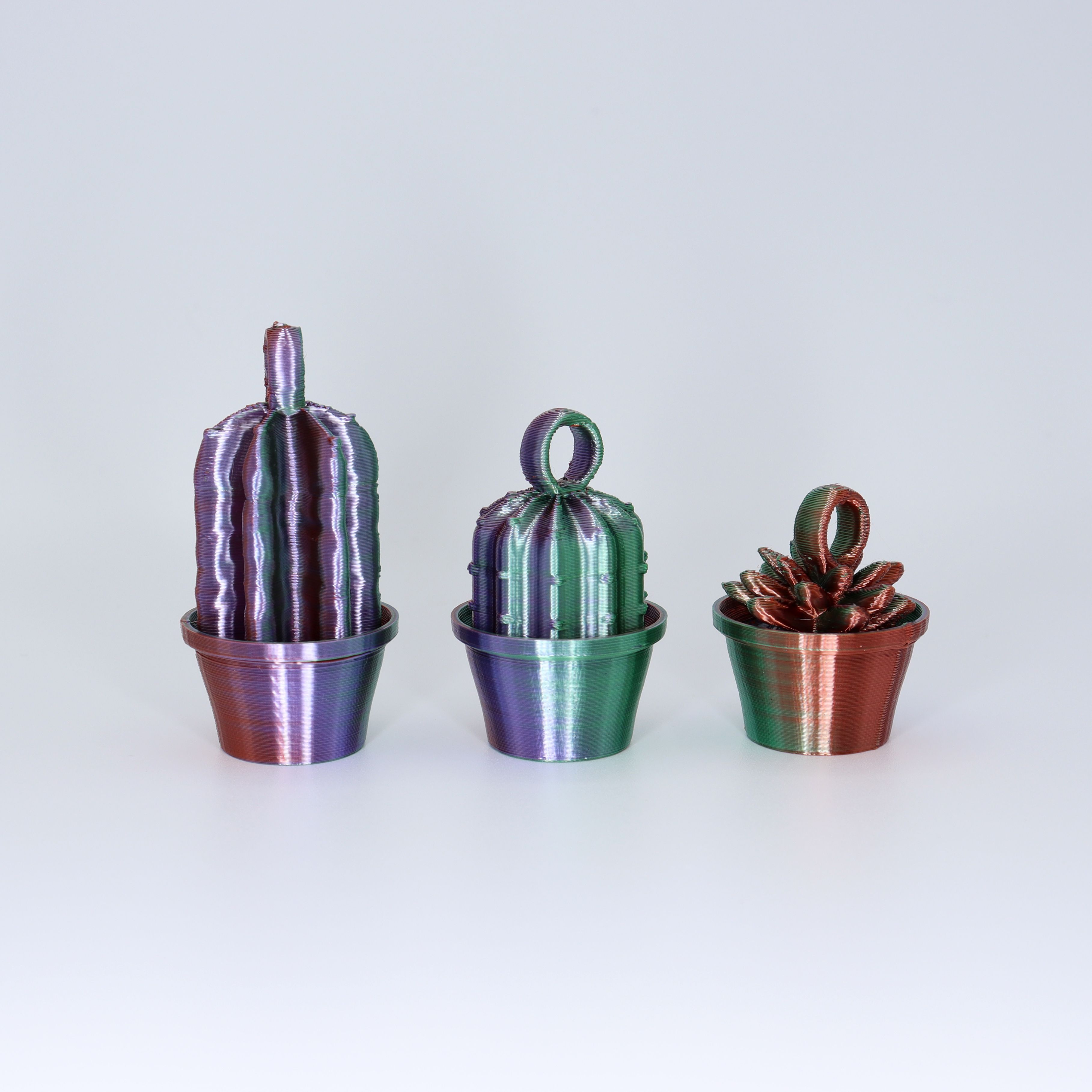 Cactus keychains | 3D models download | Creality Cloud