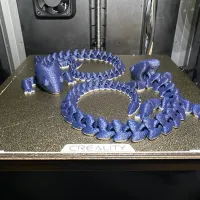 Fuzzy Dragon! I wanted to experiment with fuzzy skin settings in ...