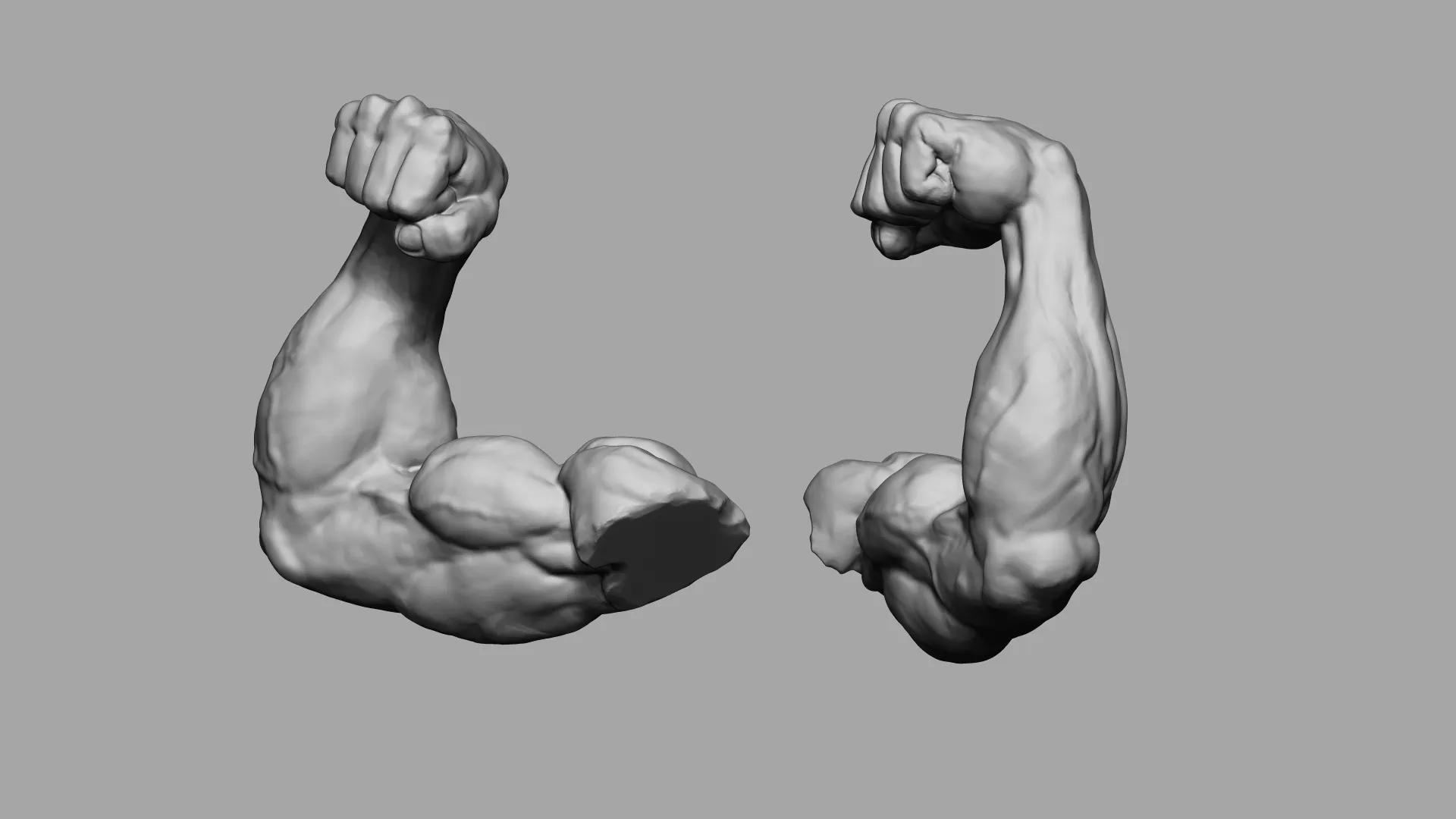 Characters & Creatures STL Download - Doble biceps pose (only arms)by ...