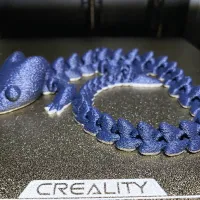 Fuzzy Dragon! I wanted to experiment with fuzzy skin settings in ...