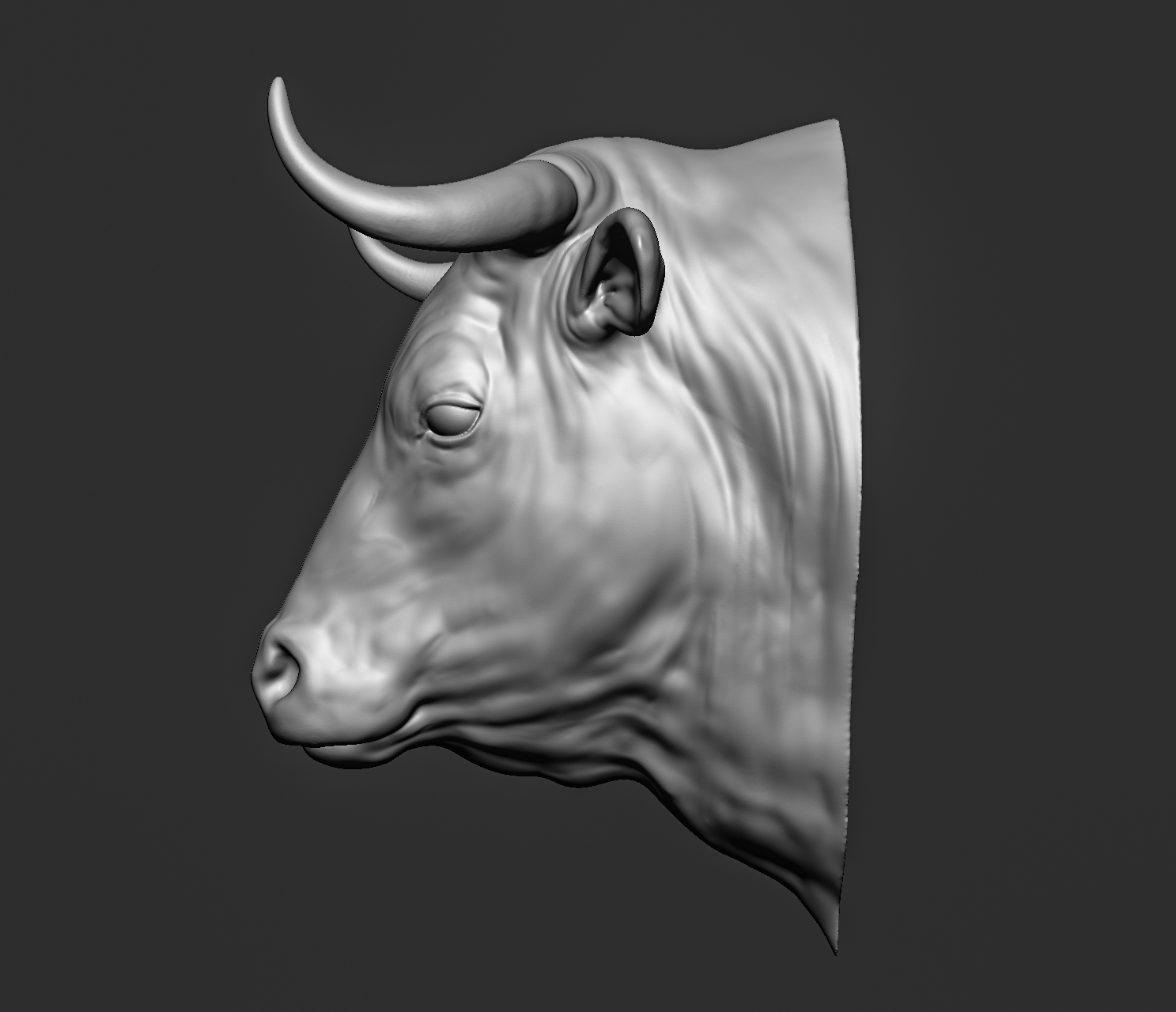 Bull head | 3D models download | Creality Cloud