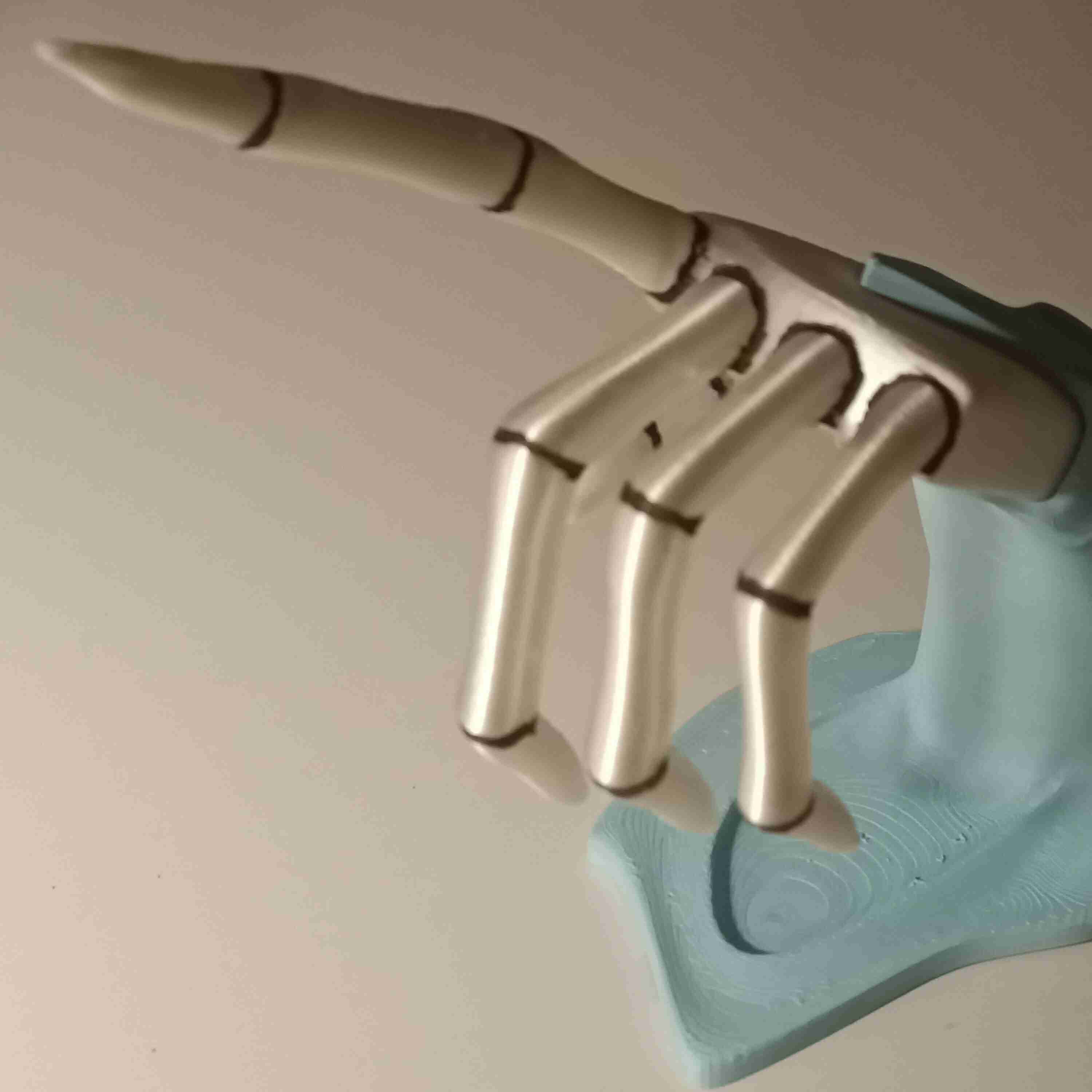 Corpse Bride Hand (Jewelry Organizer) | 3D models download | Creality Cloud