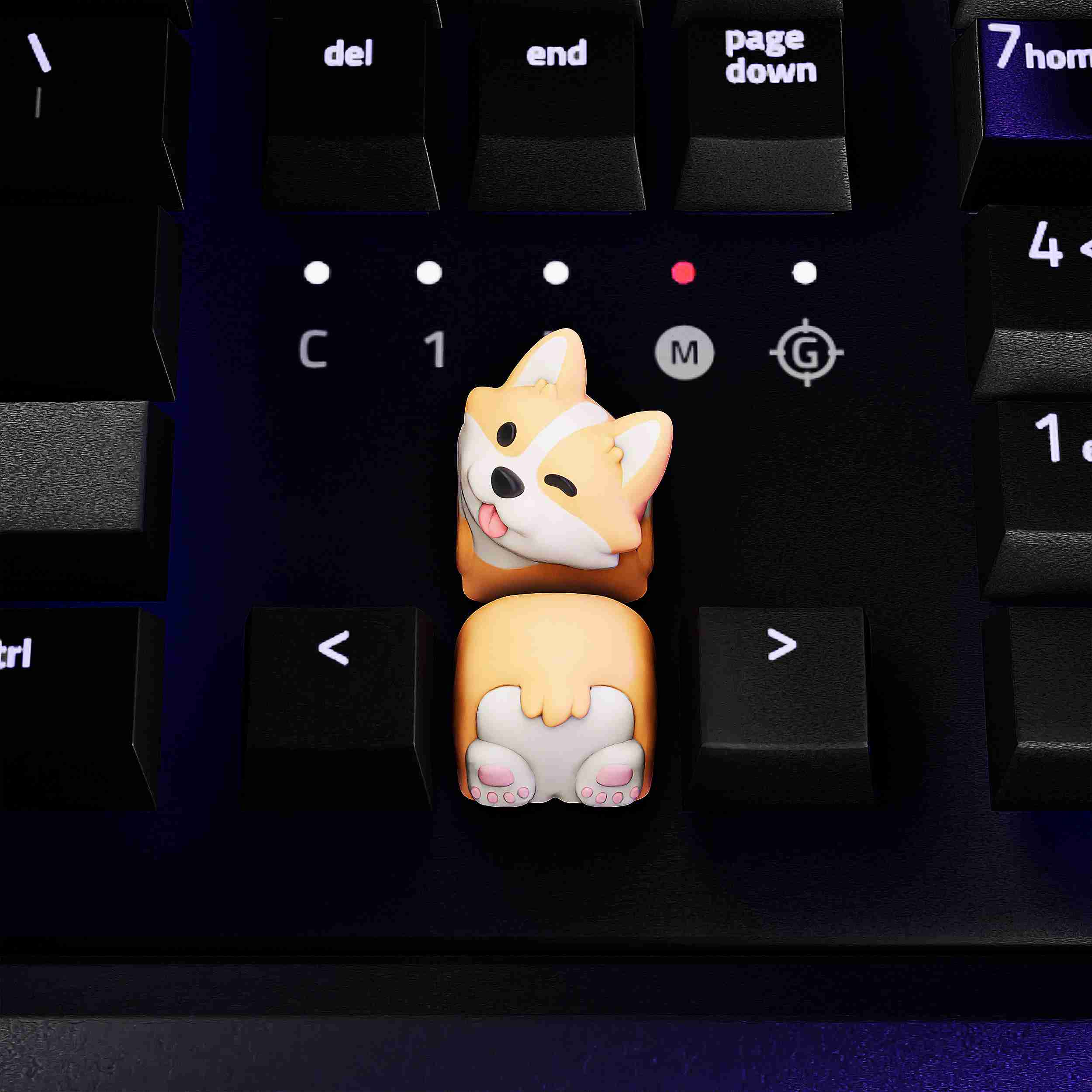 Puppy Corgi keycaps - Mechanical Keyboard | 3D models download ...