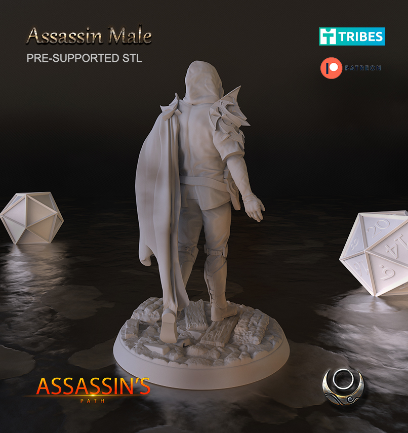 Assassin Male | 3D models download | Creality Cloud