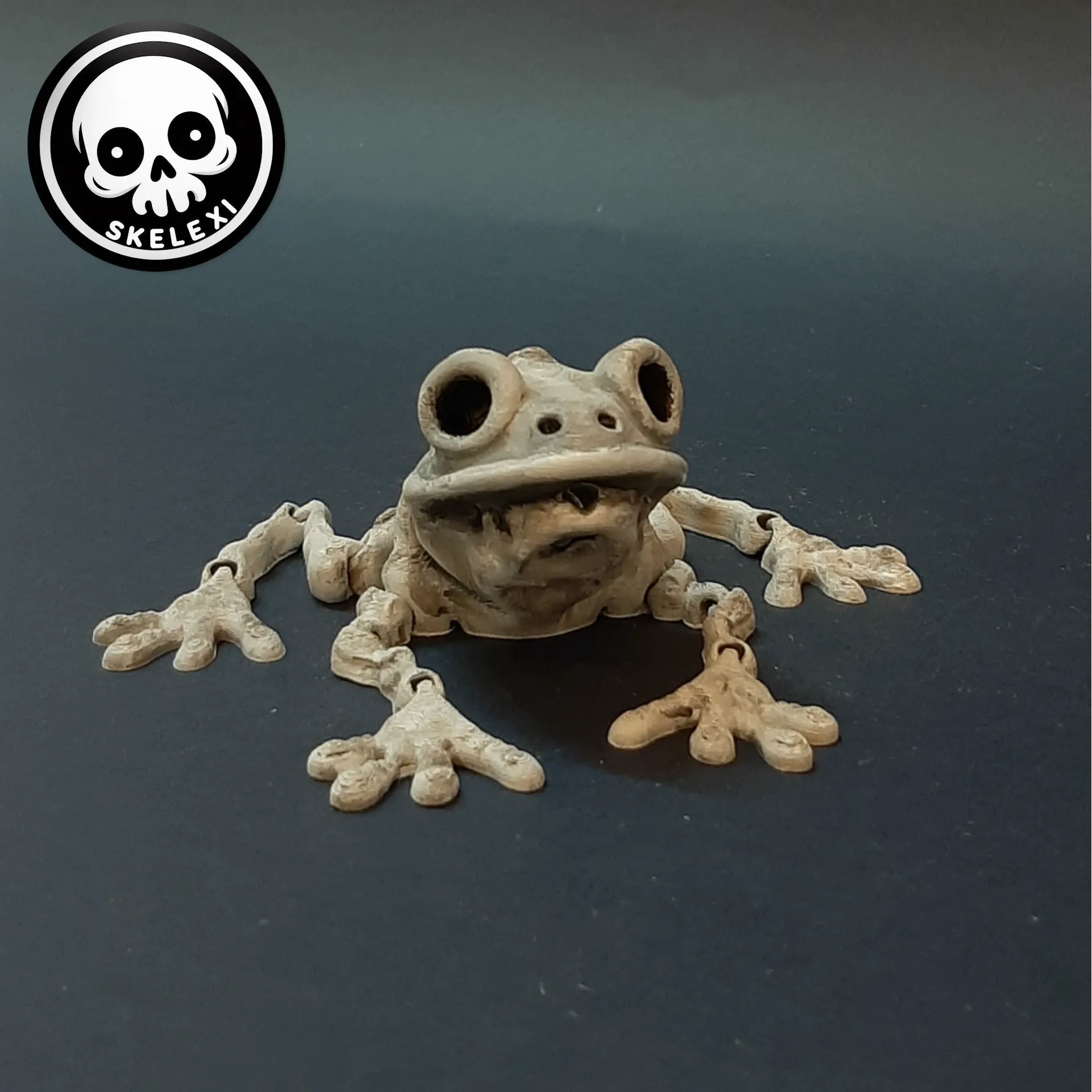 Toys & Games STL Download - Flexi Skeleton Frogby SKELEXI