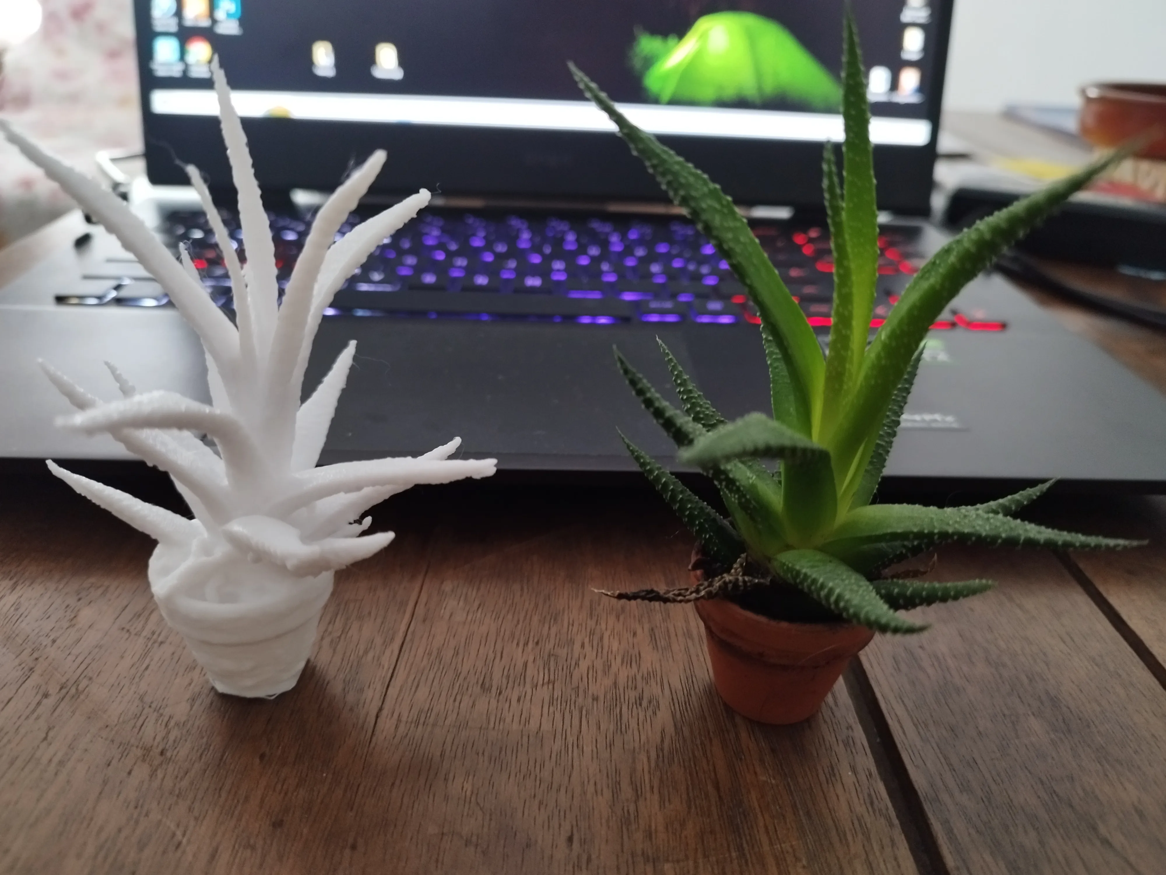 3D Printer Files | 3MF File | cactus-succulent | Creality Cloud