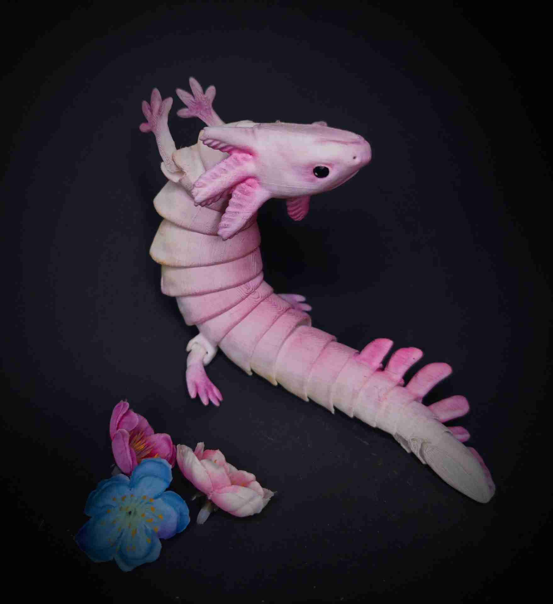 ARTICULATED AXOLOTL | 3D models download | Creality Cloud