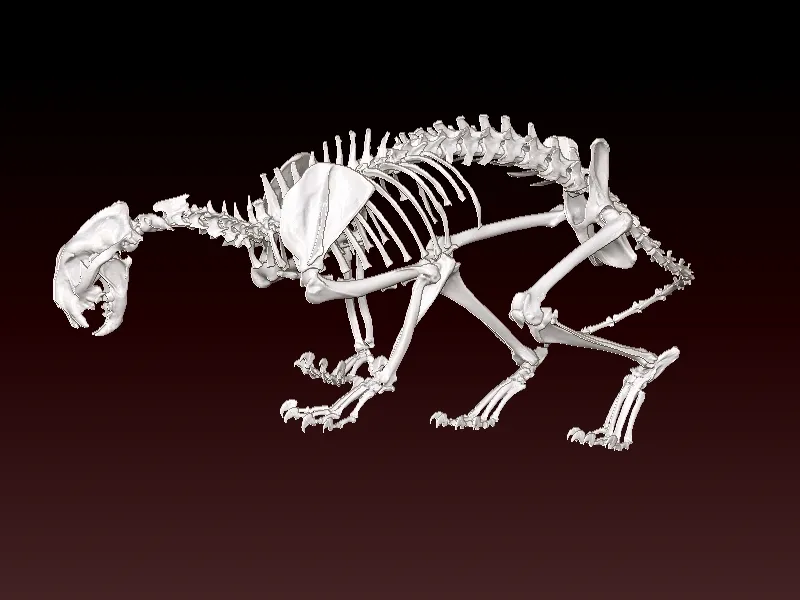 Characters & Creatures STL Download - Decorative Mountain Lion bone ...