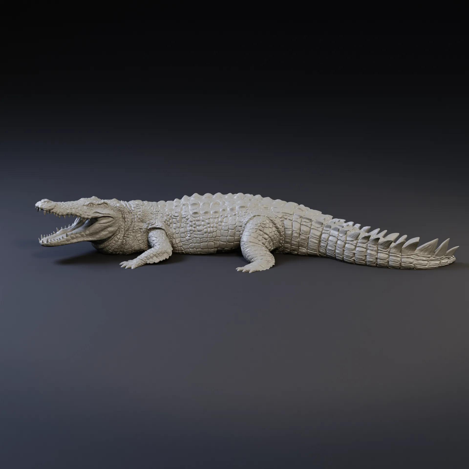 Nile crocodile | 3D models download | Creality Cloud