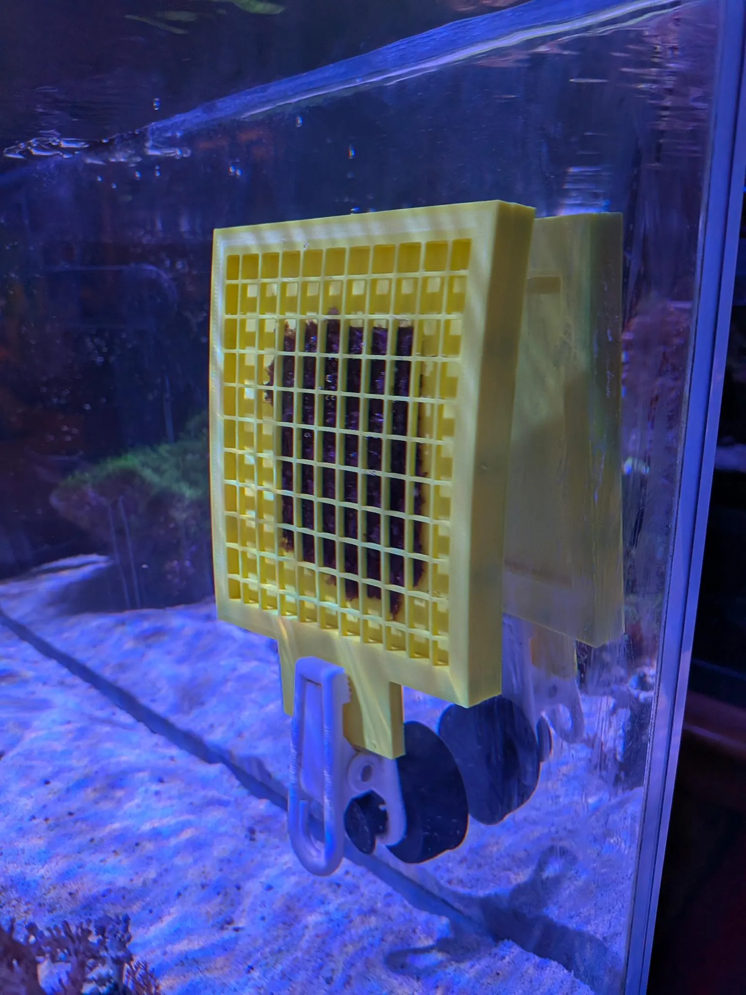 Title: Building a Better Nori Feeder – My DIY Journey for a Cleaner ...