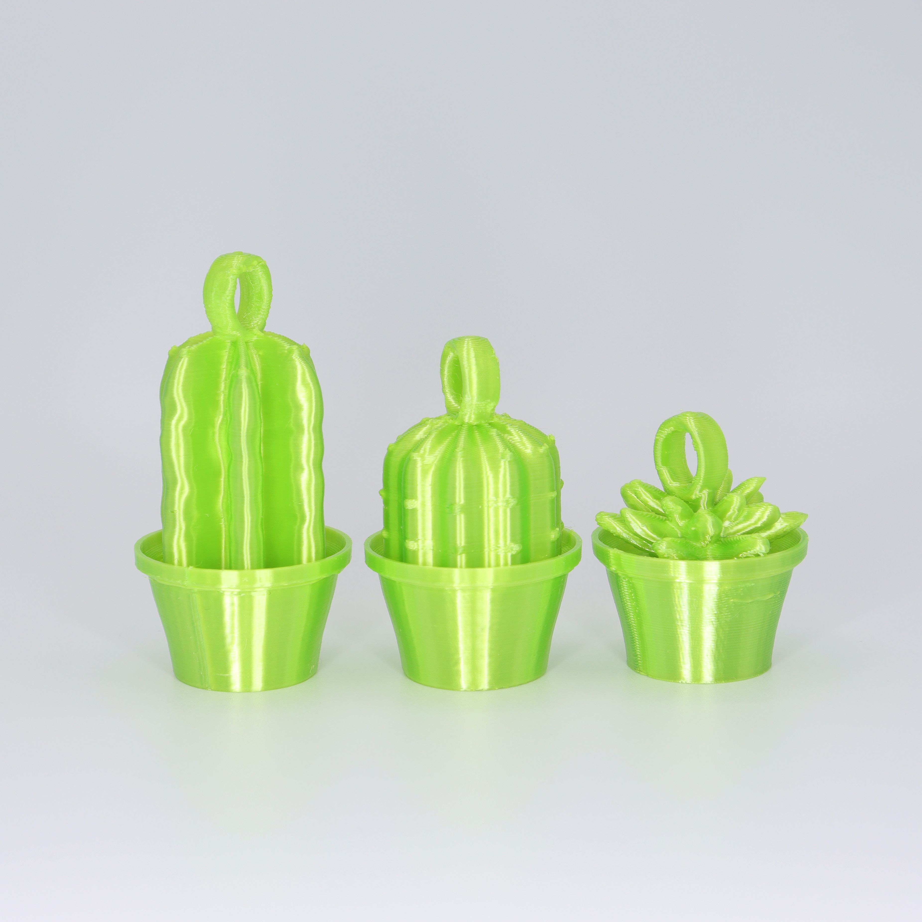 Cactus keychains | 3D models download | Creality Cloud