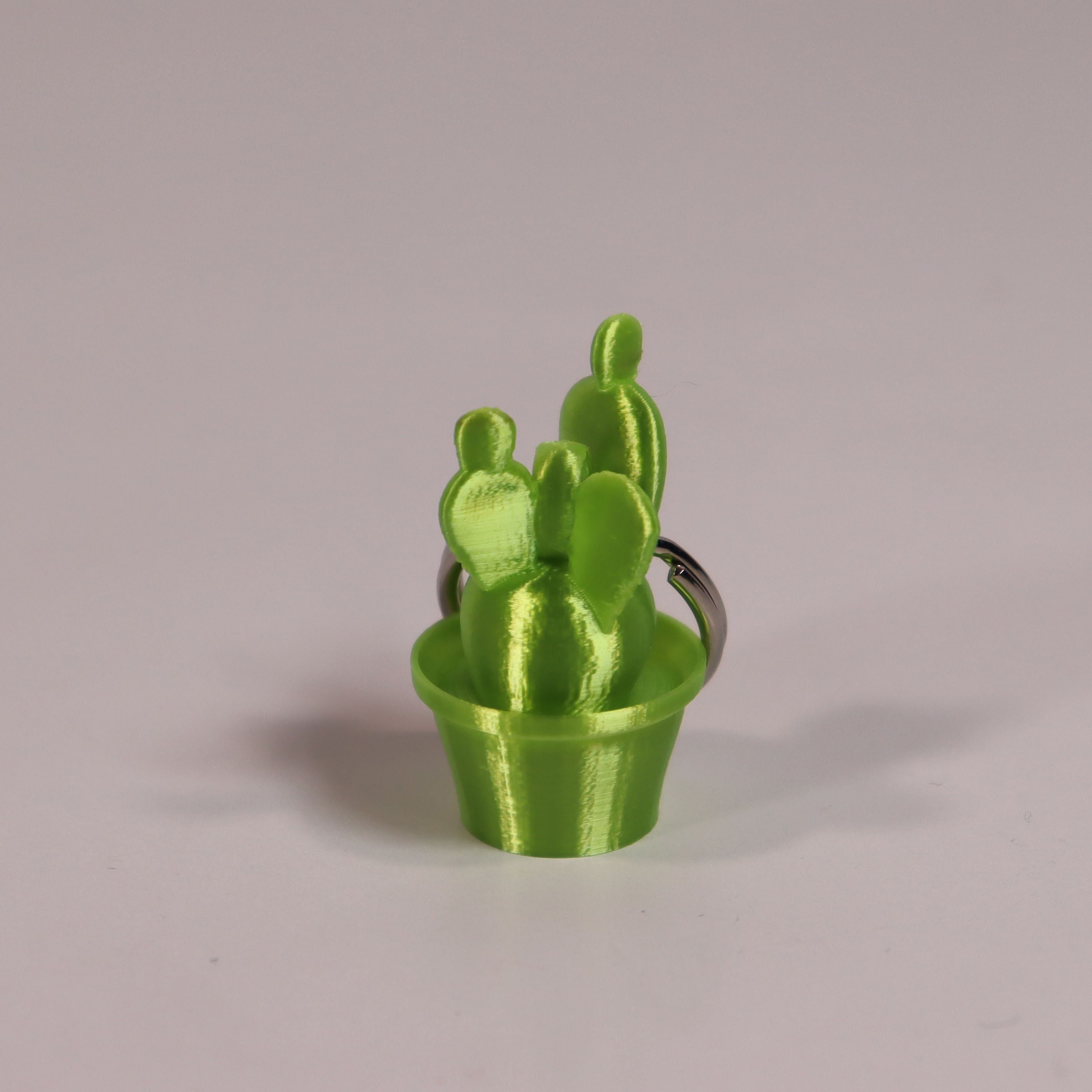 Cactus bunny ears keychain | 3D models download | Creality Cloud