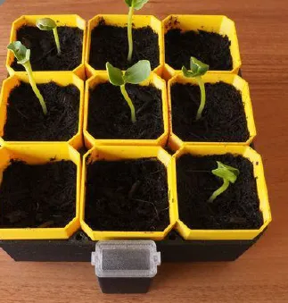 3D Printer Files | 3MF File | Seed Starter | Creality Cloud