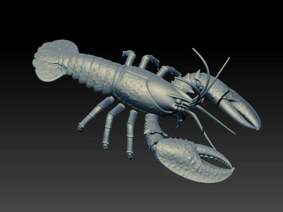 Characters & Creatures STL Download - Lobster - SEA LIFE MODEL - 3D ...