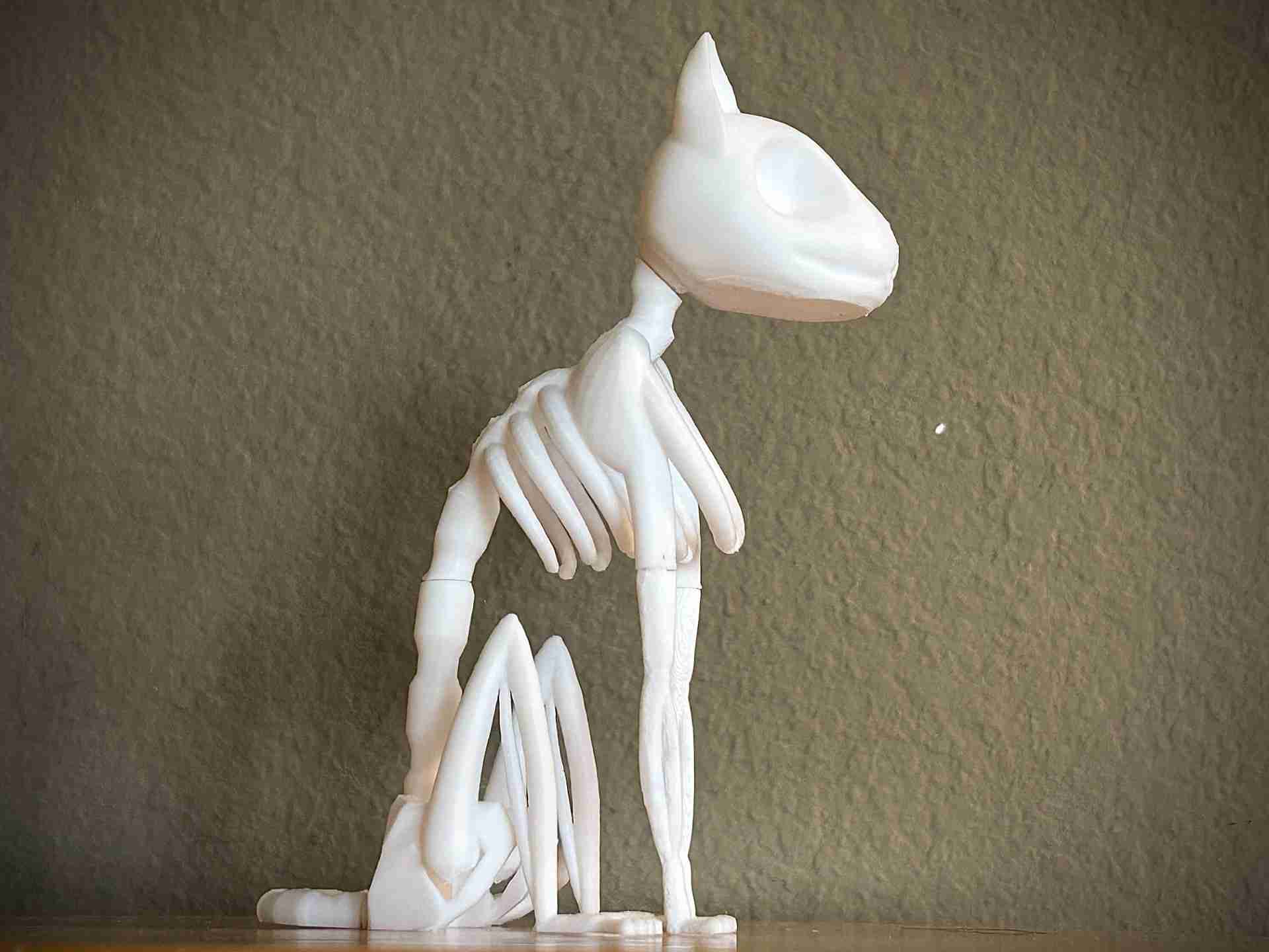 Stylized Cat Skeleton | 3D models download | Creality Cloud