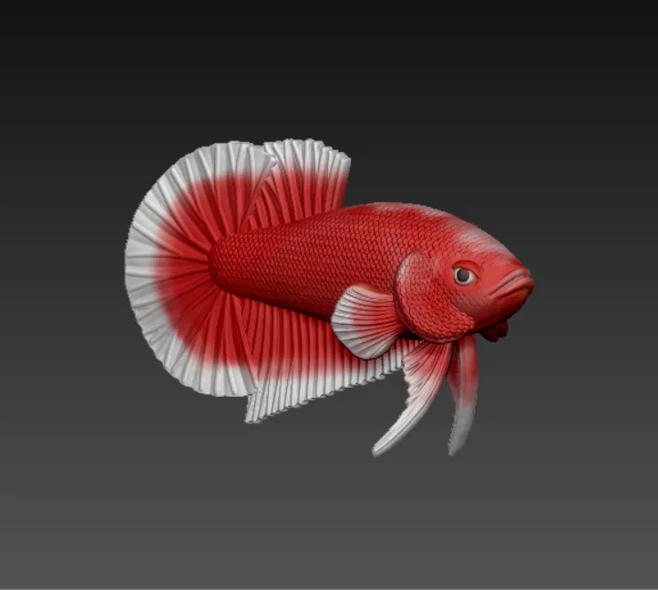BETTA FISH V3 - READY FOR 3D PRINTING | 3D models download | Creality Cloud