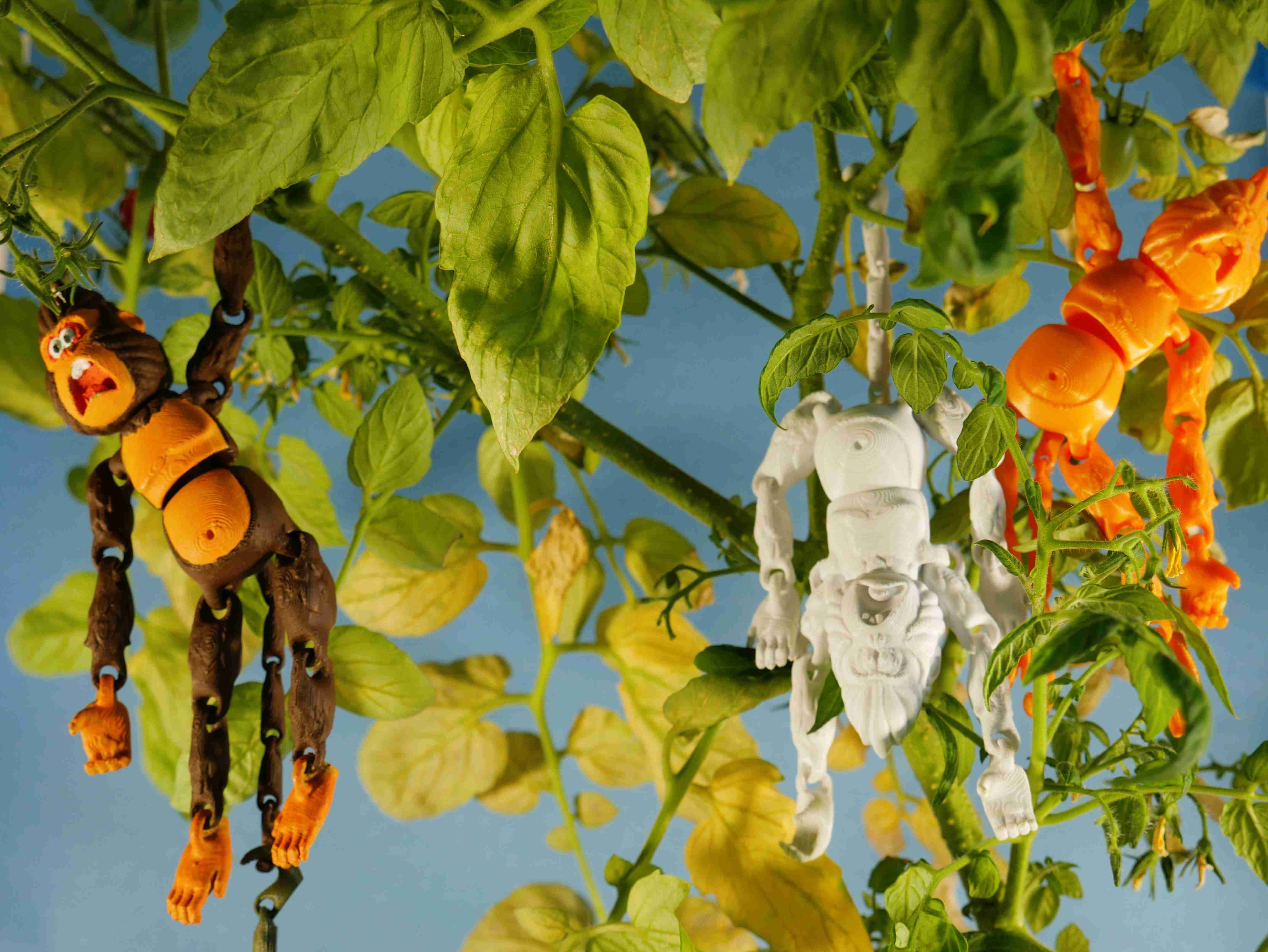 CRAZY MONKEY | 3D models download | Creality Cloud