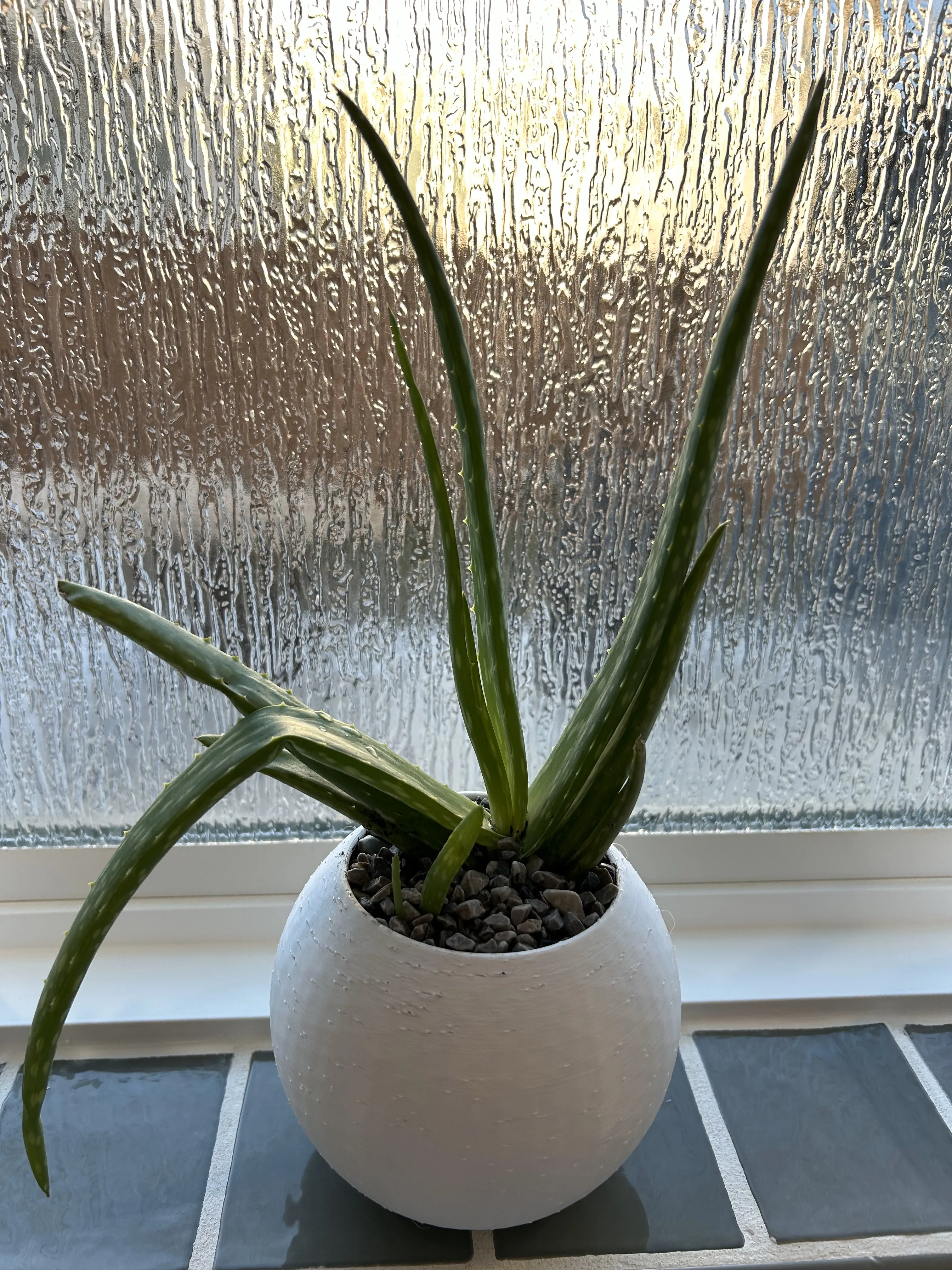 3D Printer Files | 3MF File | Small Globe flower pot | Creality Cloud