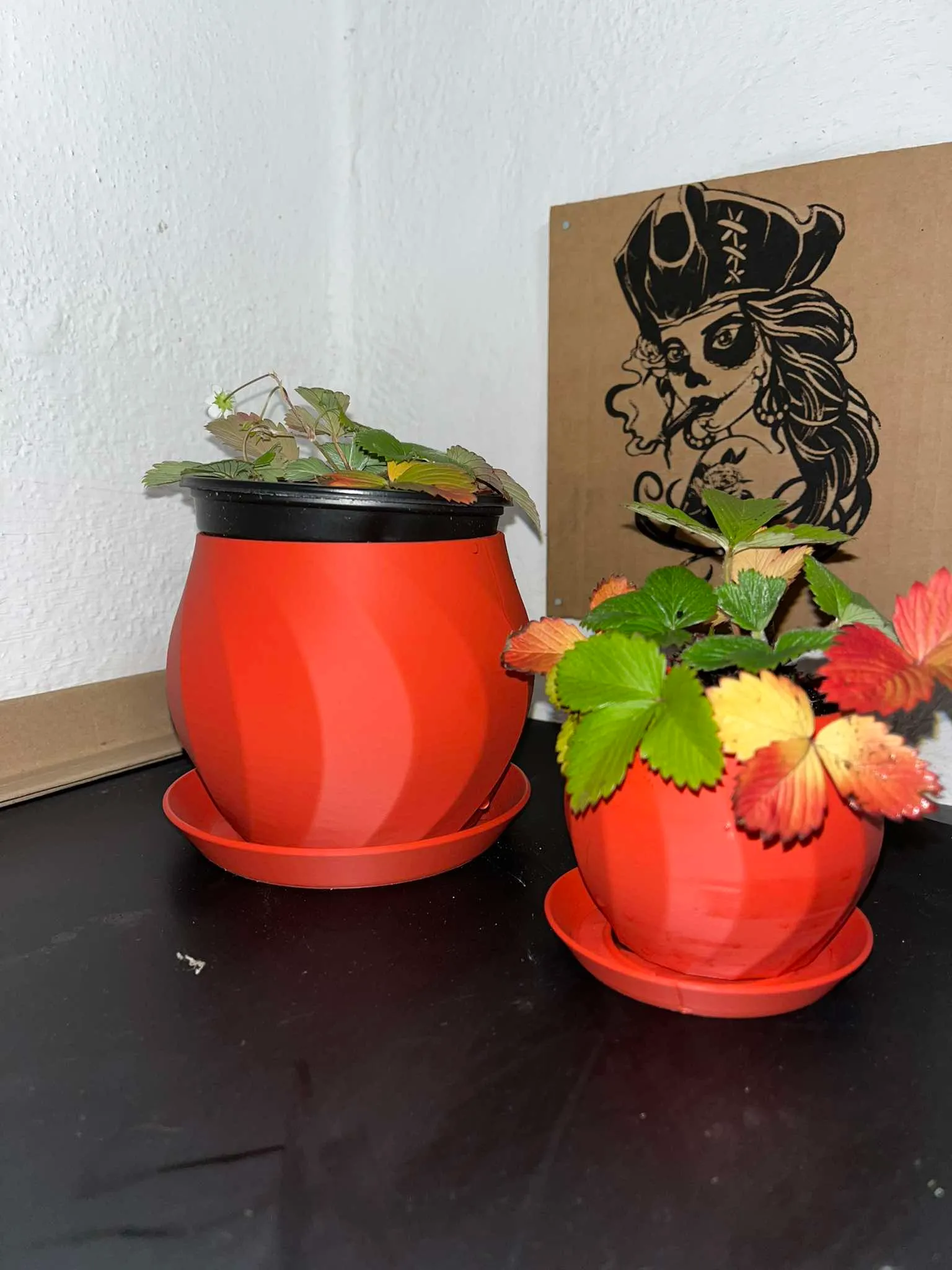 3D Printer Files | 3MF File | A flower pot with a saucer | Creality Cloud