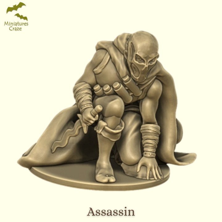 Mercenary Assassin | 3D models download | Creality Cloud