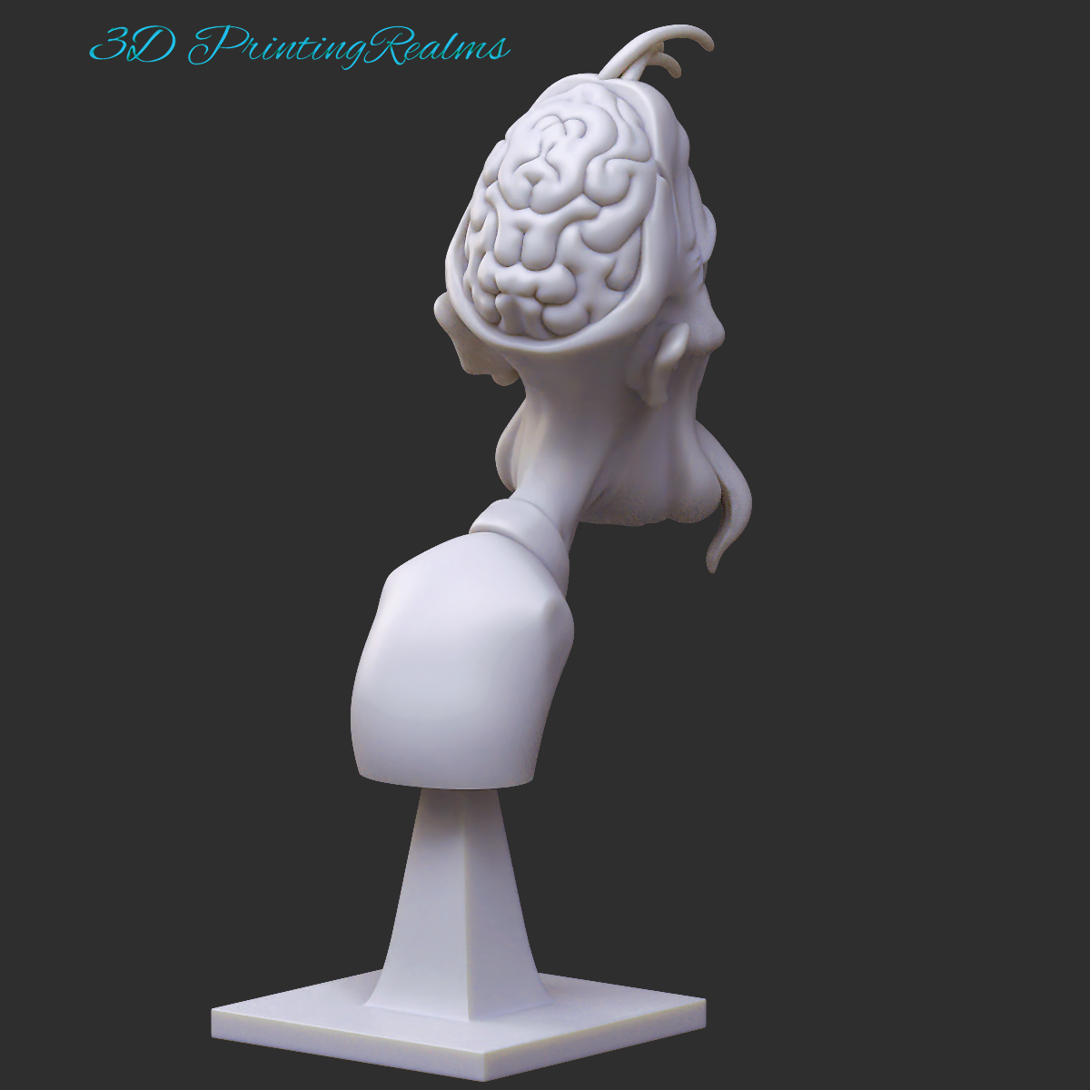 Stylized Zombie Bust | 3D models download | Creality Cloud