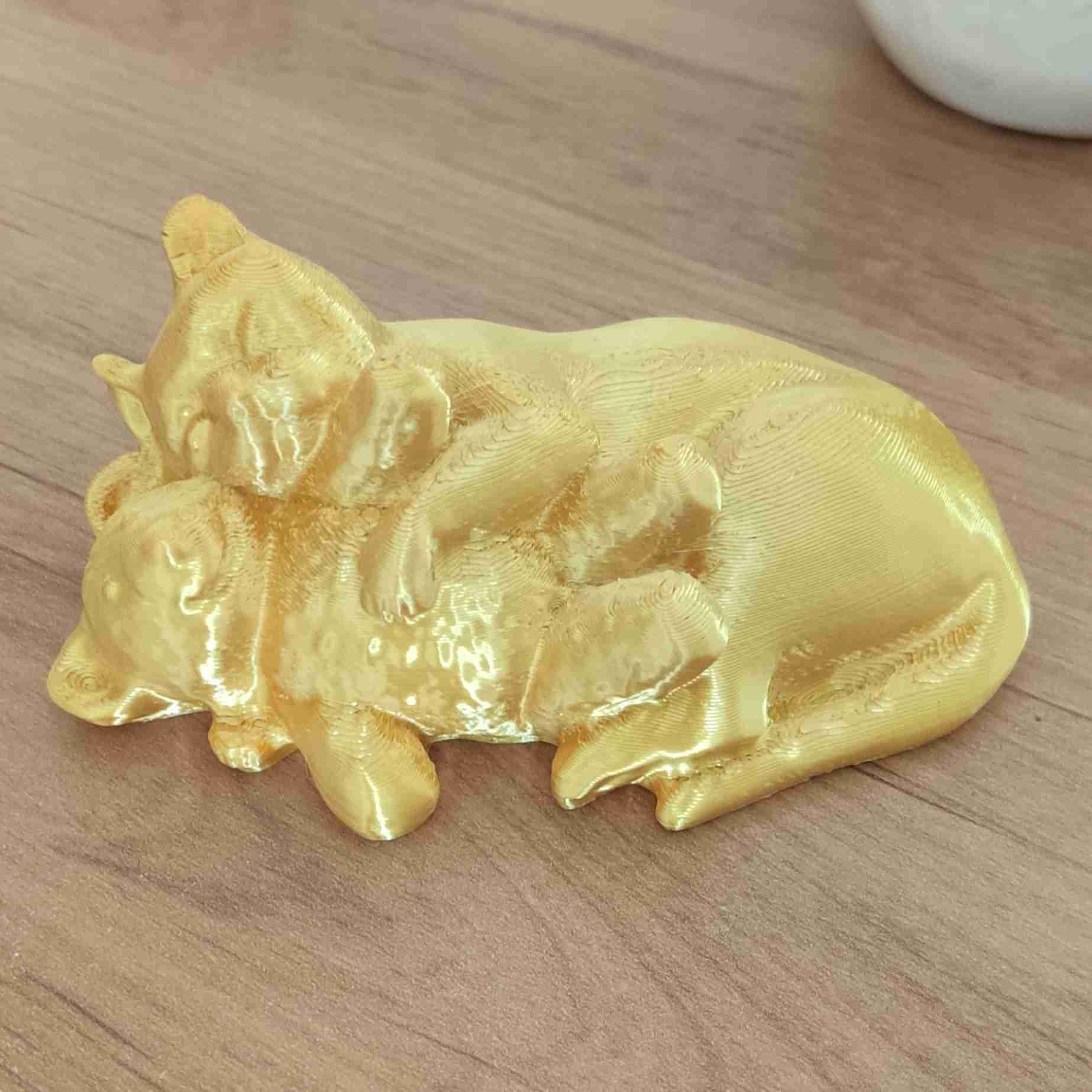 Cat and teddy | 3D models download | Creality Cloud